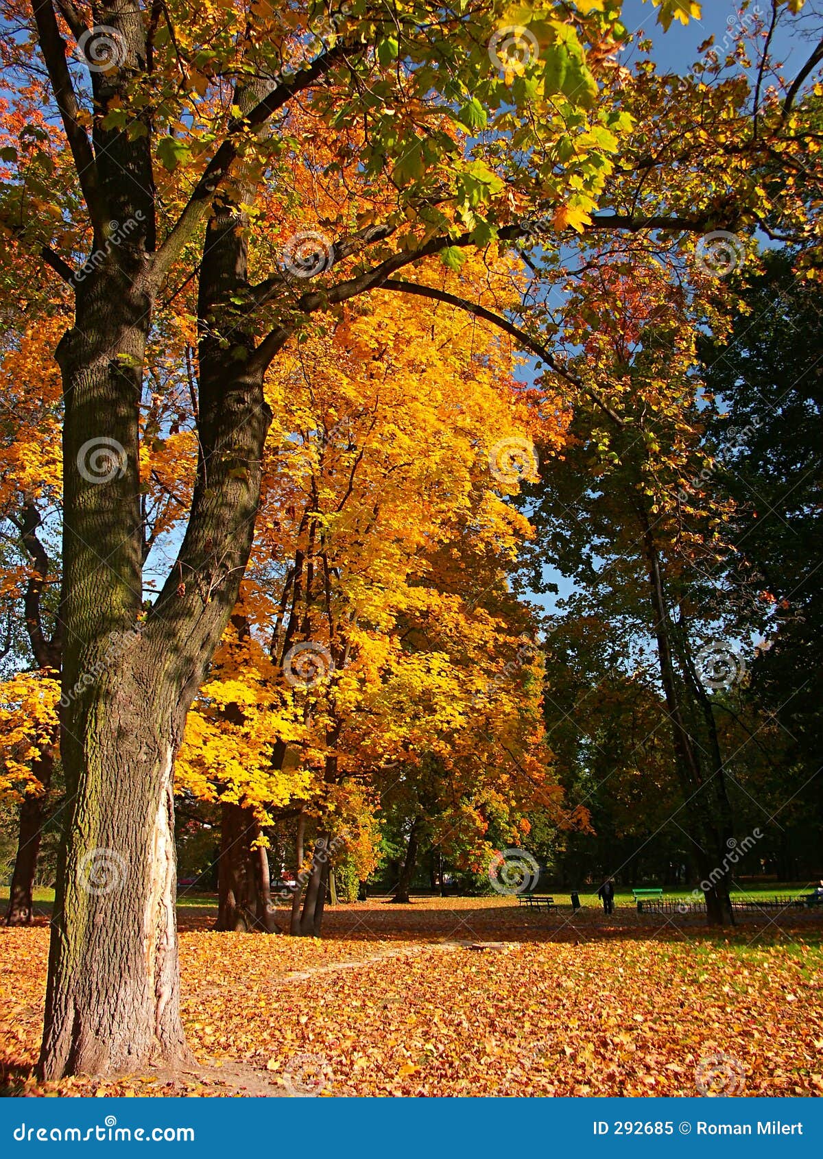 Autumn in the park stock image. Image of ground, outdoor - 292685