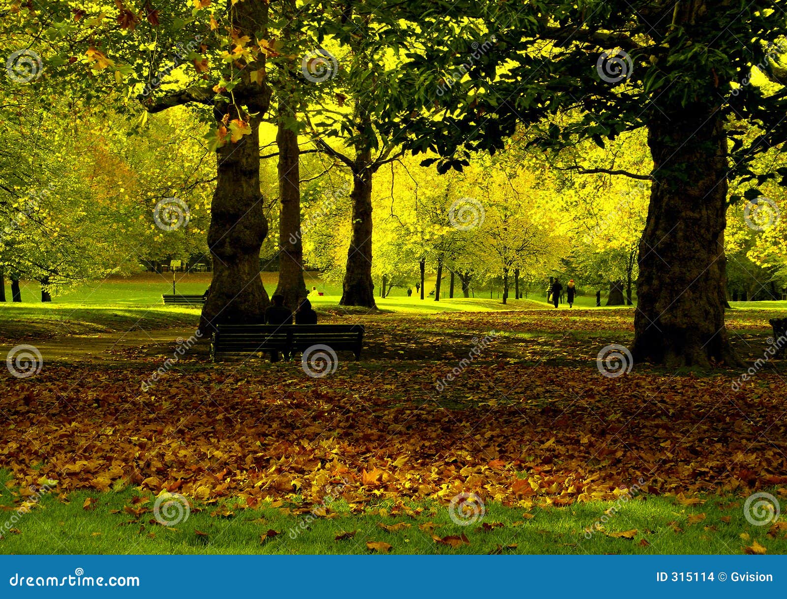 Autumn Park stock photo. Image of dreamy, season, color - 315114