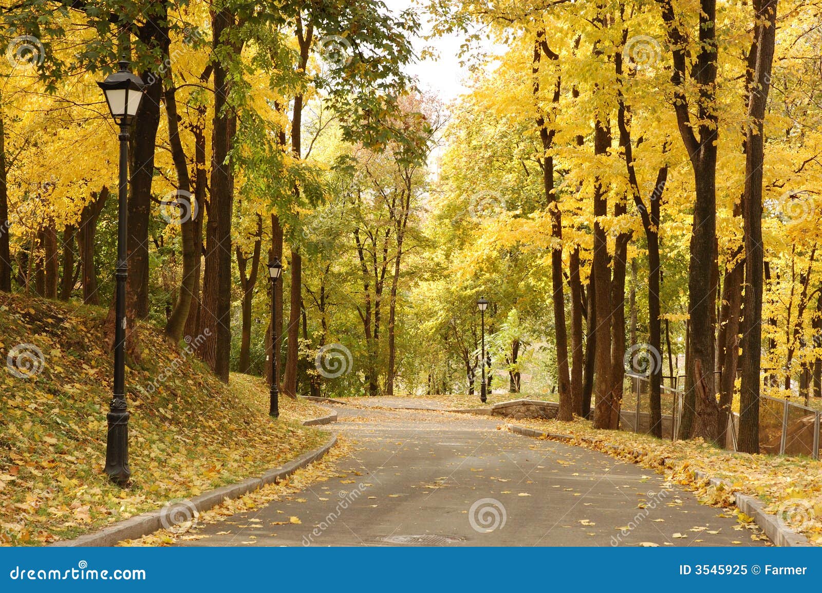 Autumn park stock image. Image of natural, colors, mariinsky - 3545925