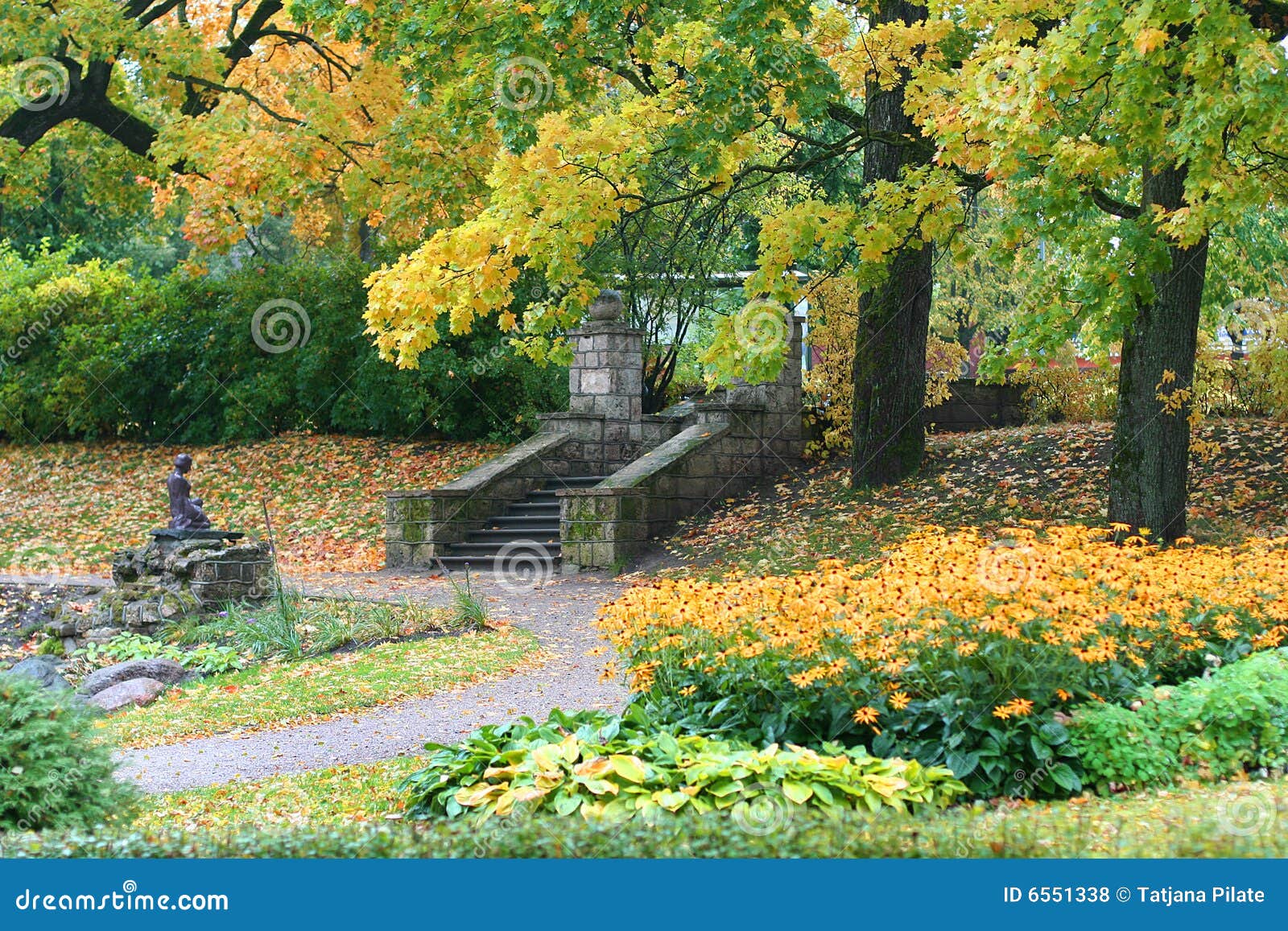Autumn park stock photo. Image of falling, grass, alley - 6551338