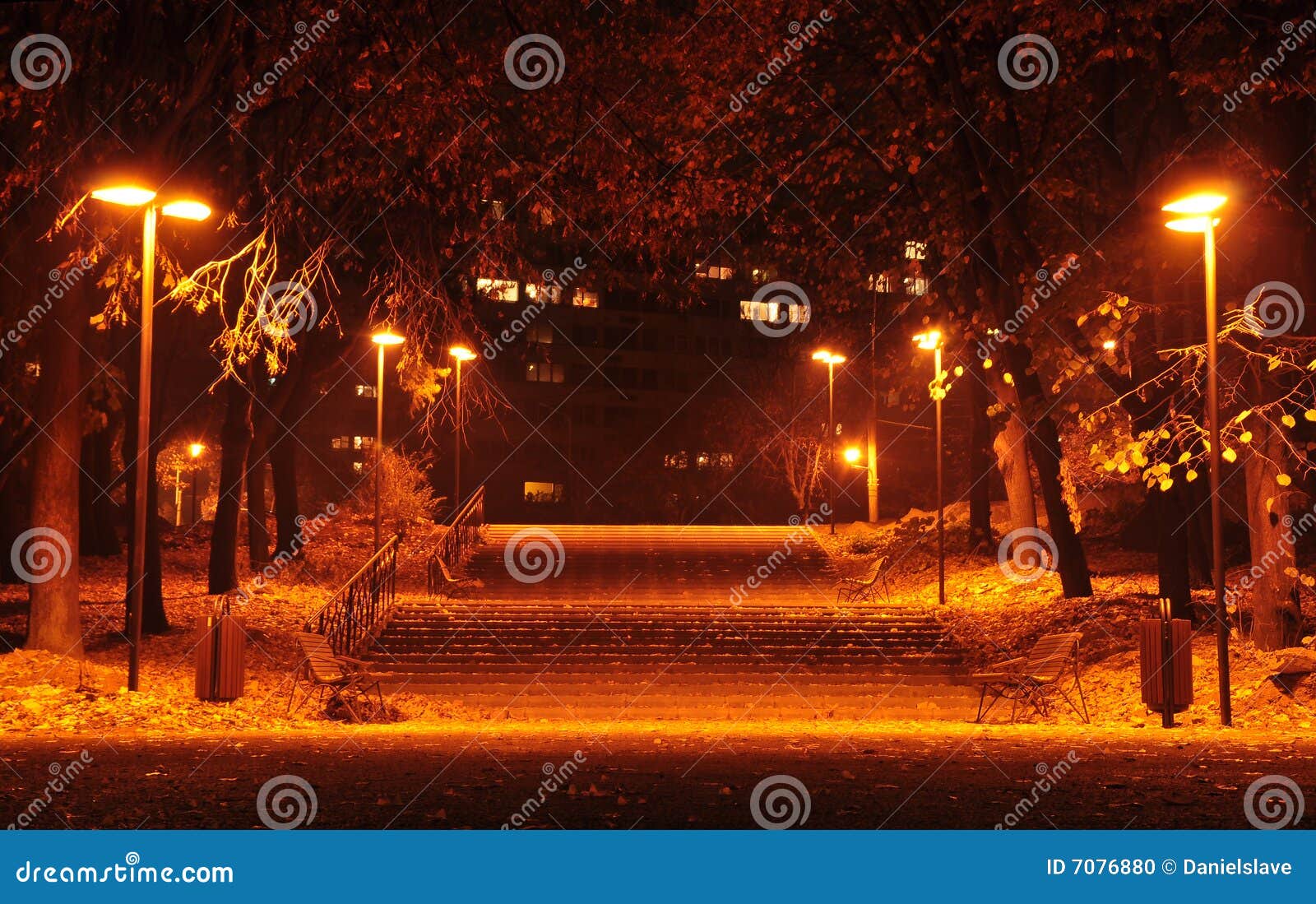 849 Bright Lighted Autumn Stock Photos - Free & Royalty-Free Stock ...