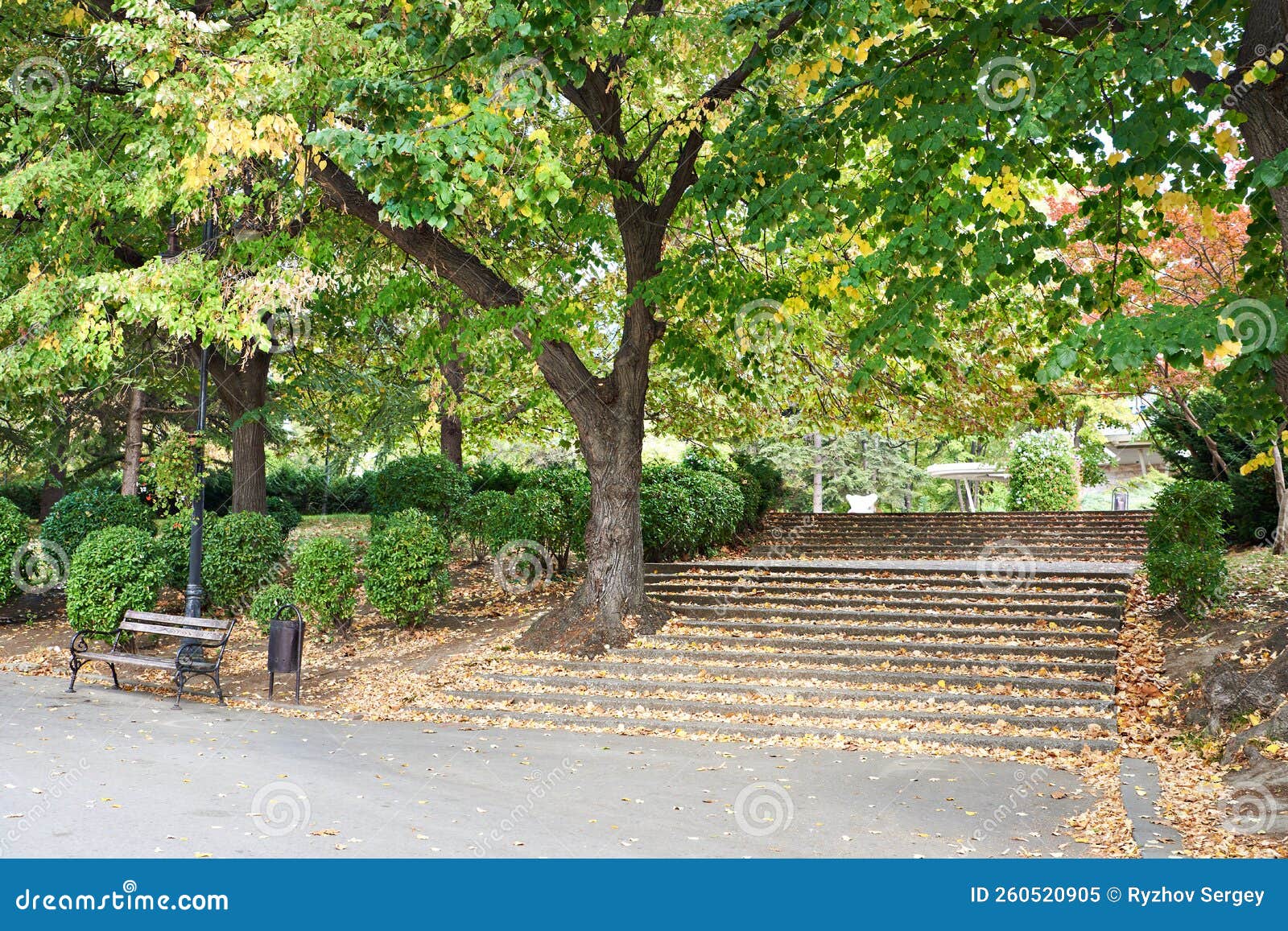 Autumn park stock image. Image of walk, europe, hill - 260520905