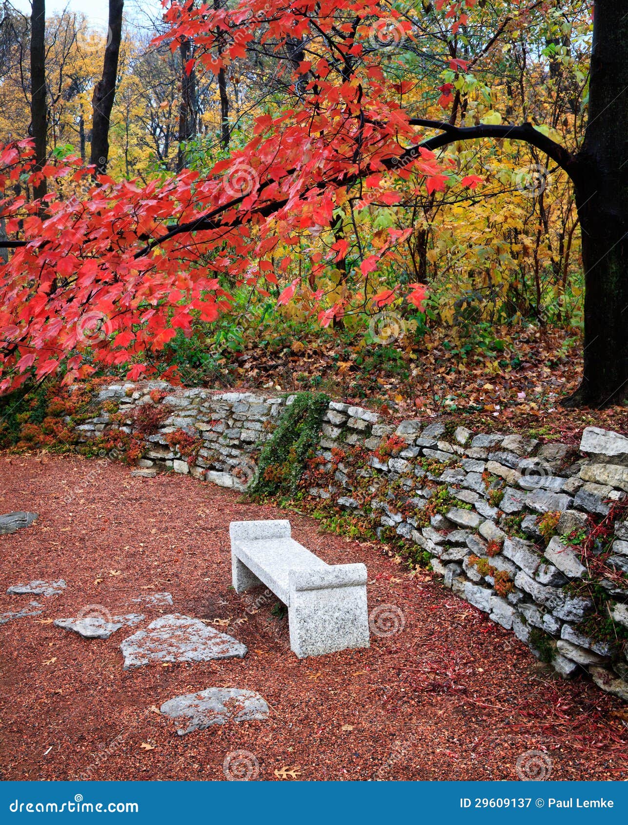 Autumn Park Bench stock image. Image of leaves, calm - 29609137