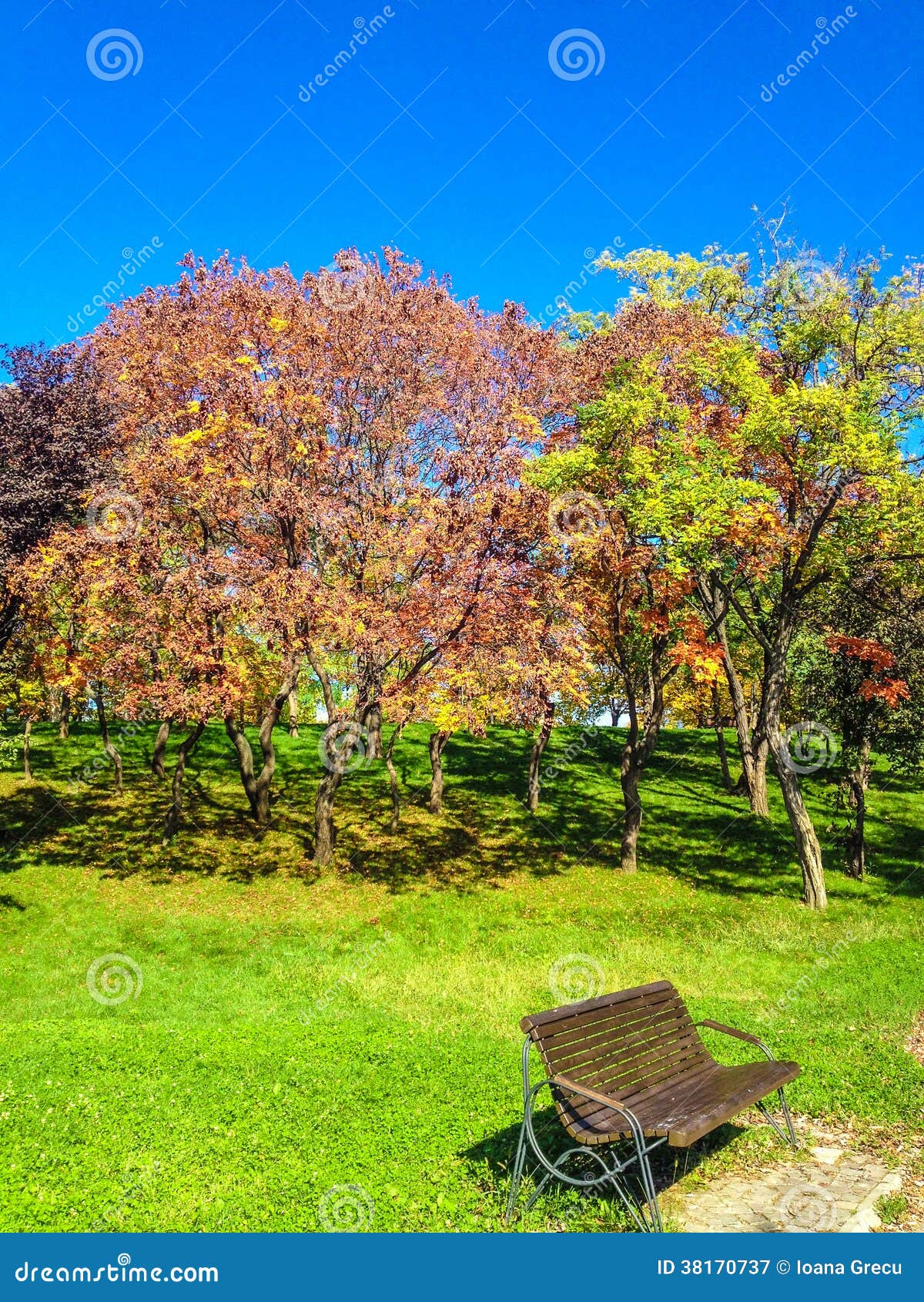 Autumn park and bench stock image. Image of foliage, beautiful - 38170737
