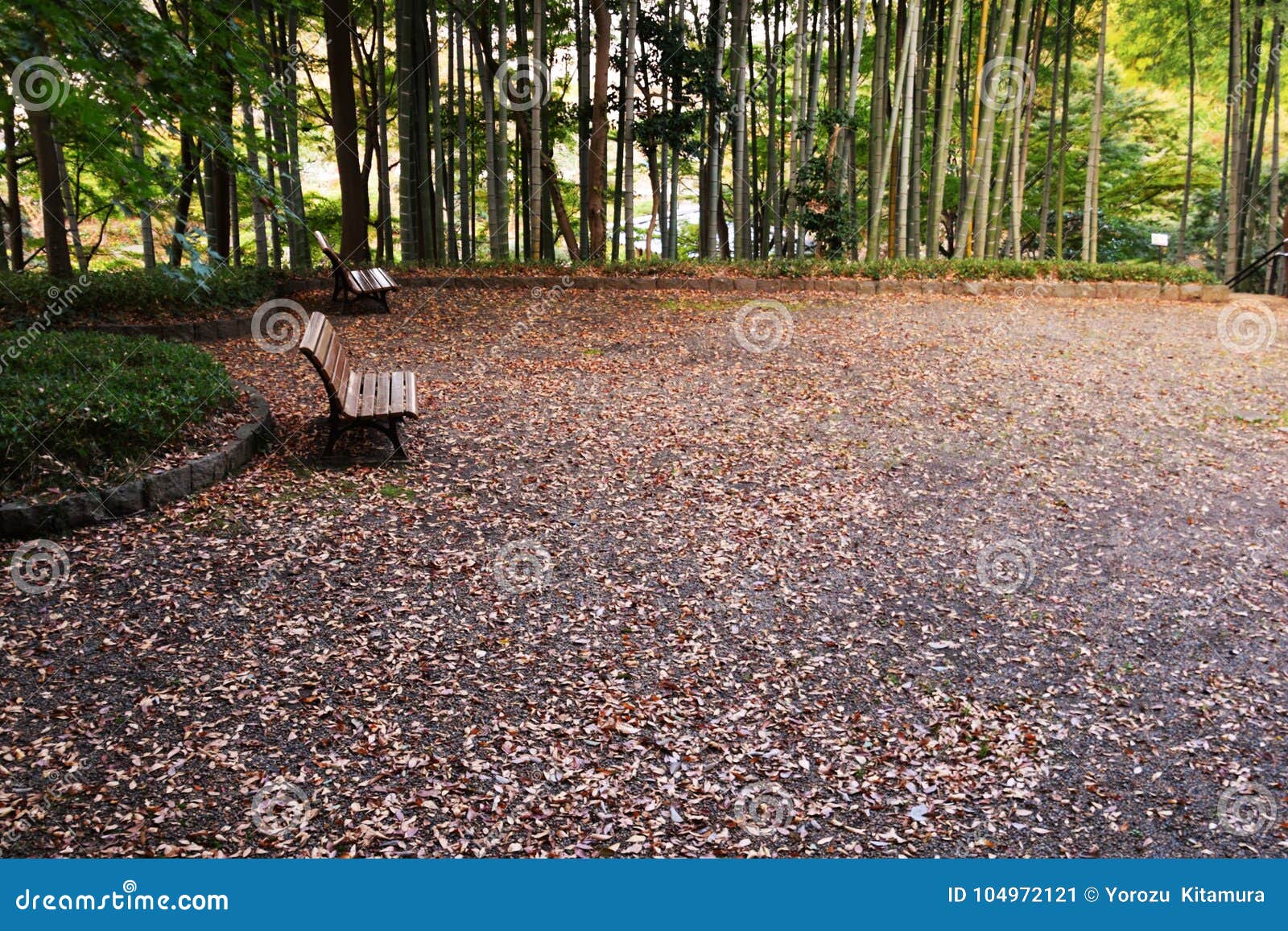 Autumn park bench stock image. Image of seasonal, leaves - 104972121