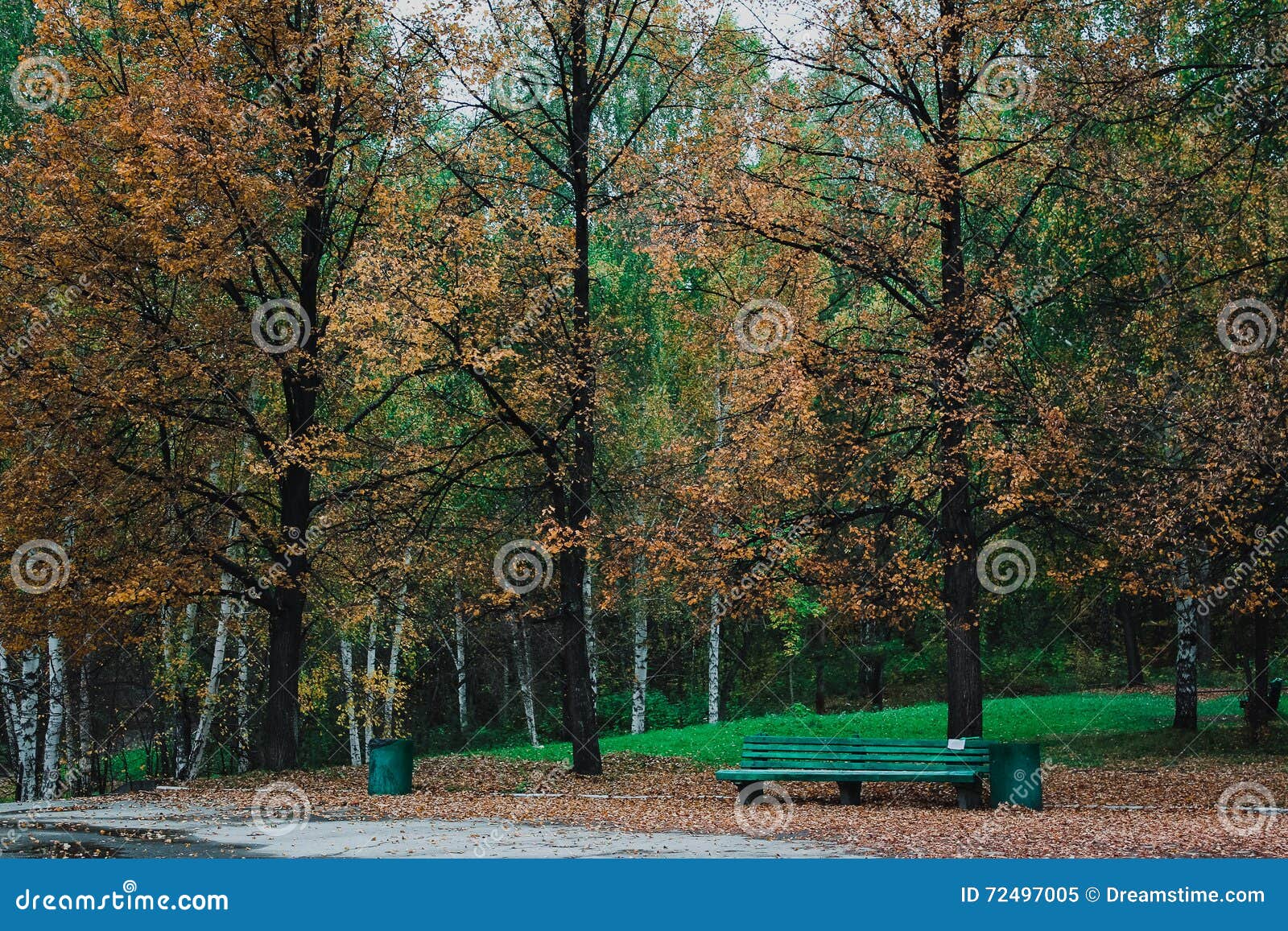 Autumn park with bench stock image. Image of leaf, season - 72497005