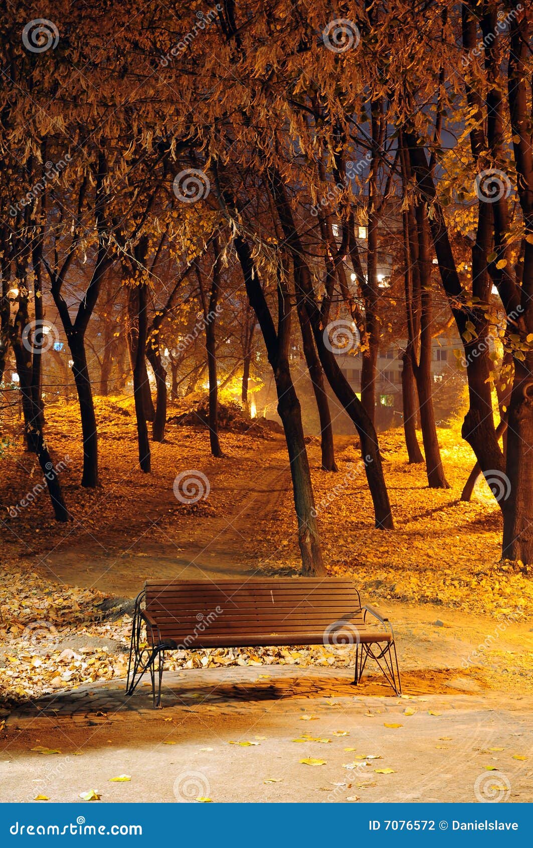 Autumn Park Bench. Night Shoot Stock Photo - Image of illuminating ...