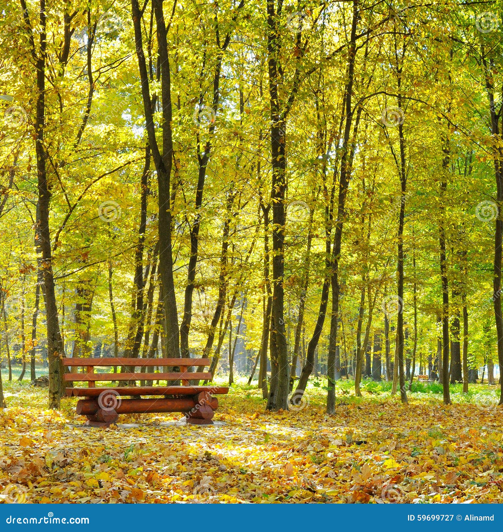 Autumn park and bench stock image. Image of rest, relaxation - 59699727