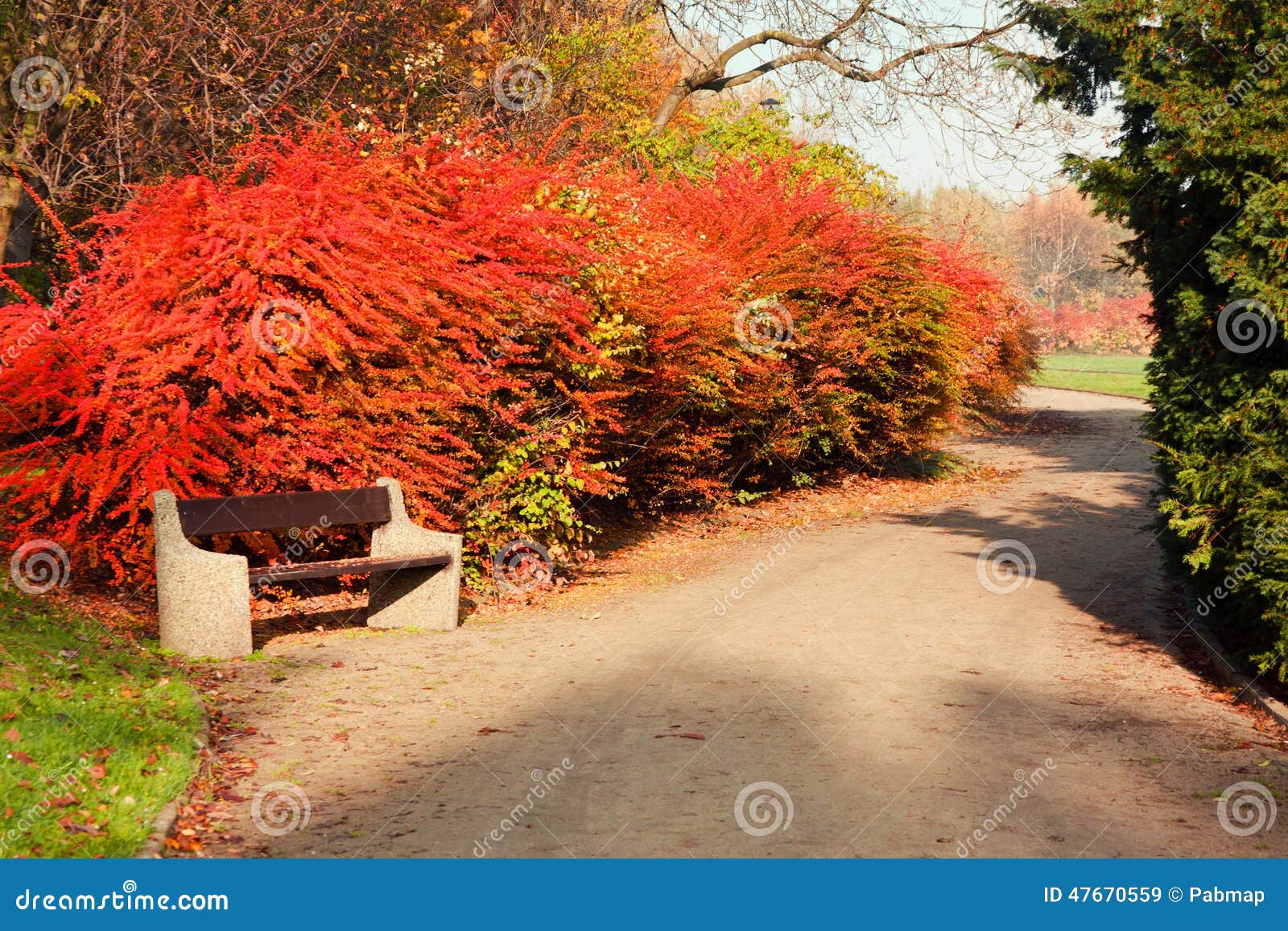 Autumn park bench stock image. Image of bench, orange - 47670559
