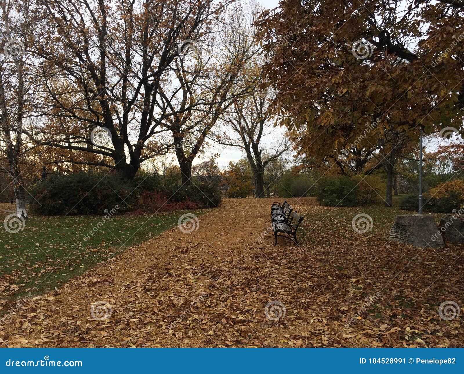 Autumn park benches stock image. Image of benches, leaf - 104528991