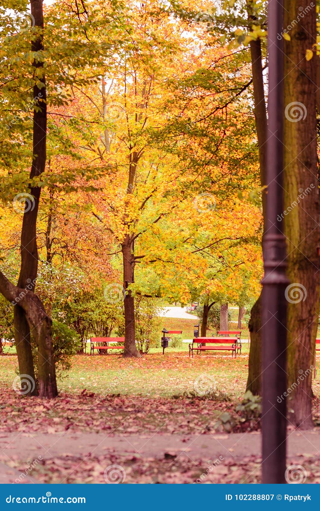 Autumn in the park stock image. Image of fall, autumn - 102288807