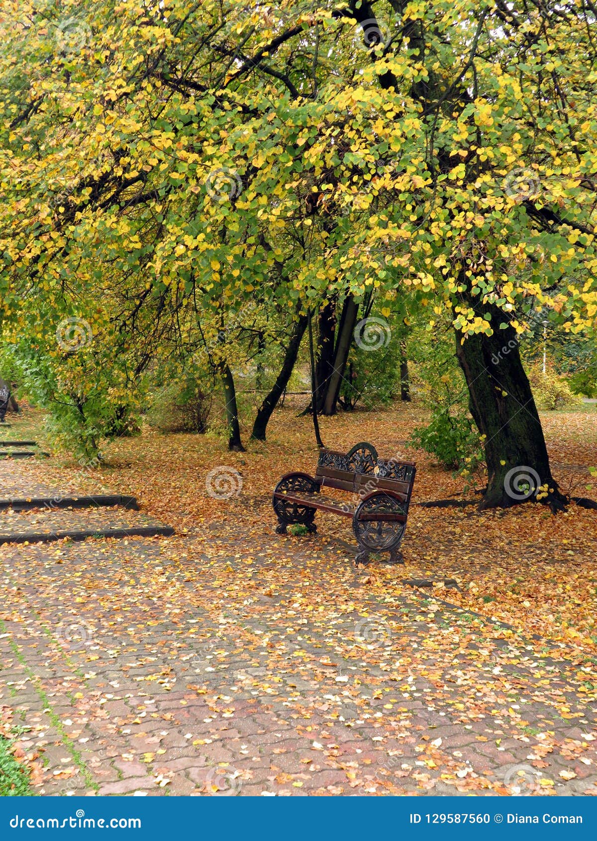 Autumn in the Park - Depression, Depressive, Solitude Stock Photo ...