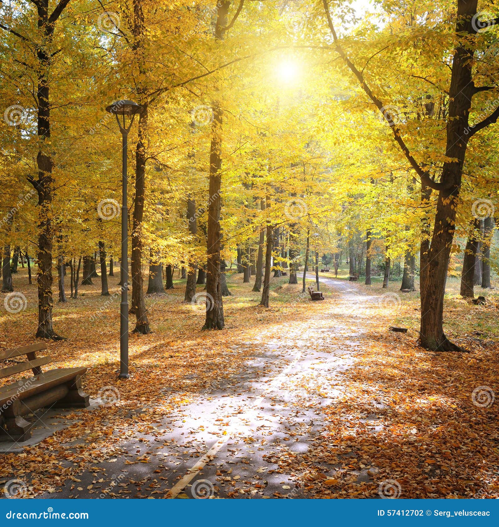 Autumn Park and Fallen Leaves Stock Photo - Image of lane, path: 57412702