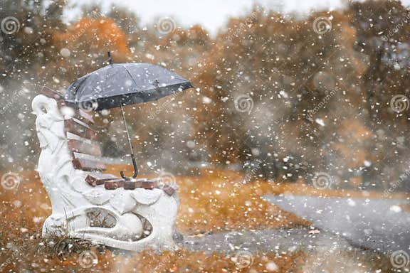 Autumn Park in the First Snow Stock Photo - Image of landscape, city ...