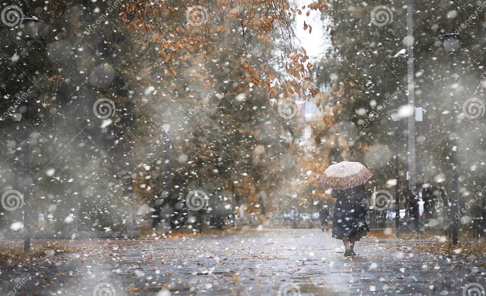 Autumn Park in the First Snow Stock Image - Image of beauty, cold ...