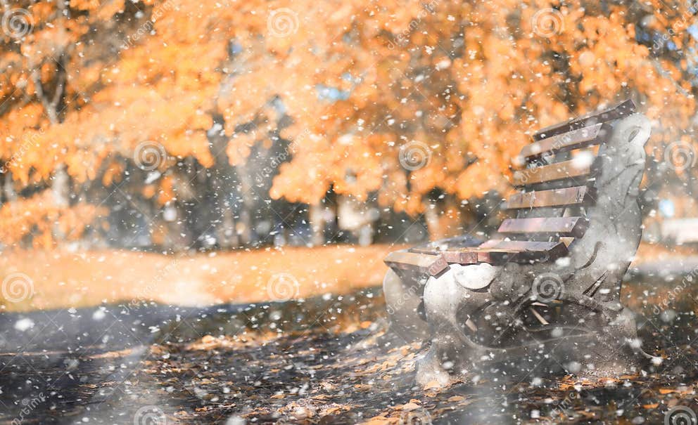 Autumn Park in the First Snow Stock Image - Image of london, light ...