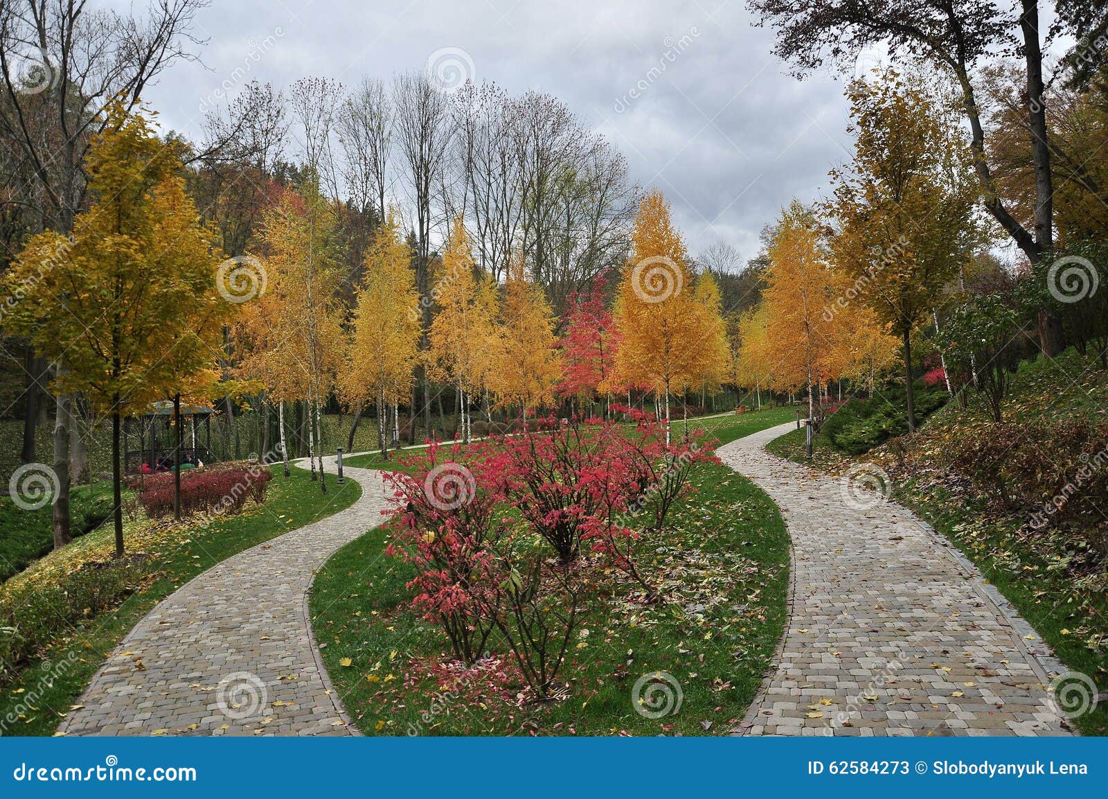 Autumn Park stock image. Image of parkway, relaxation - 62584273