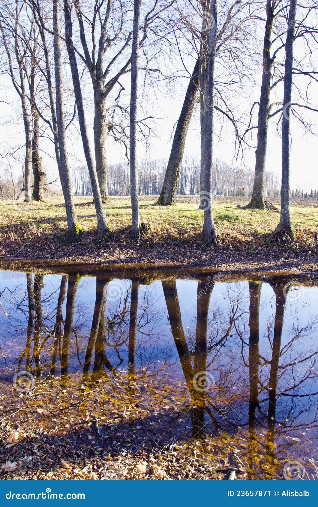 Autumn Park Landscape with Pond Stock Image - Image of plant, fresh ...
