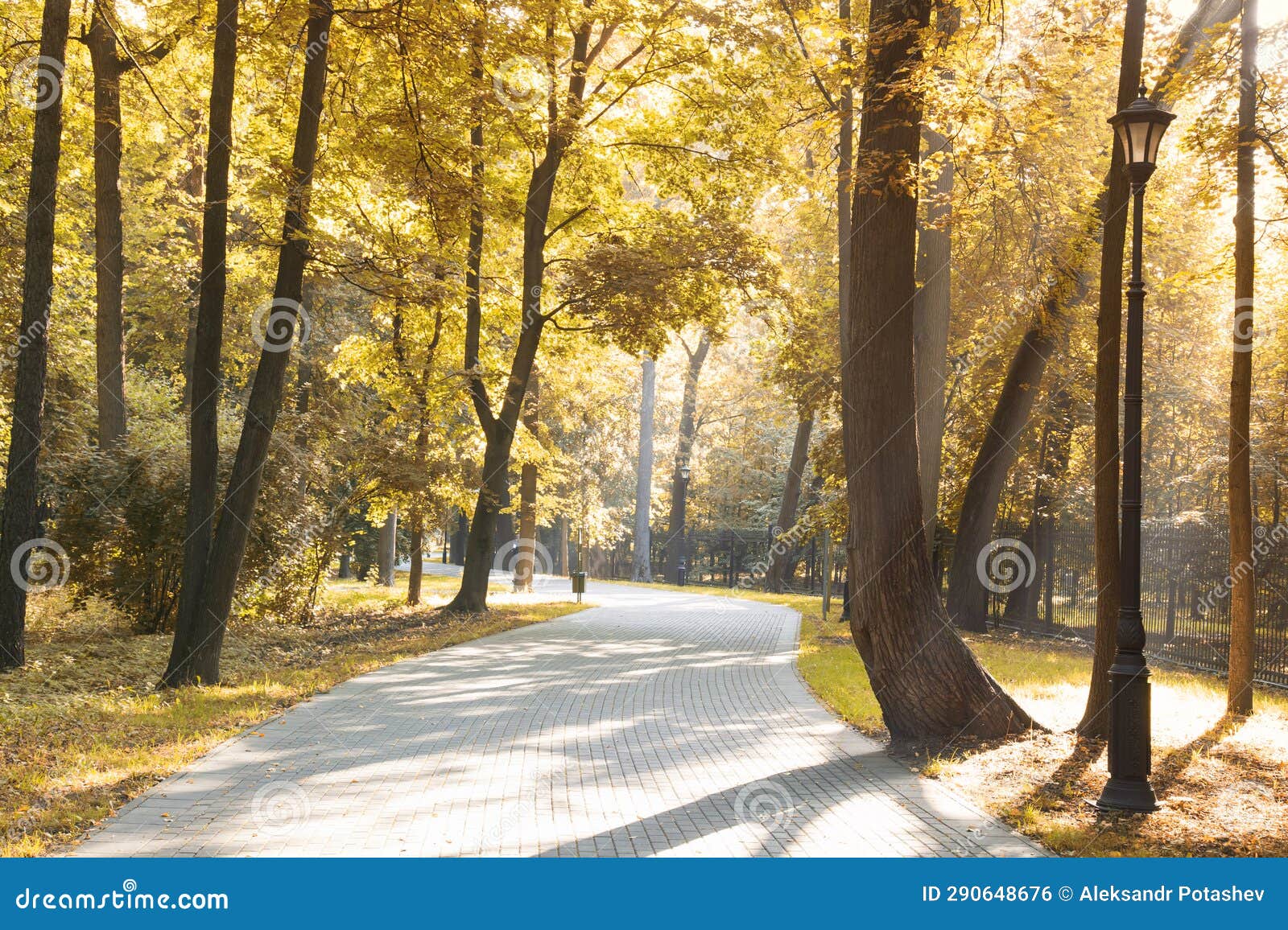 Autumn Park.Autumn Landscape with the Sun Stock Photo - Image of ...