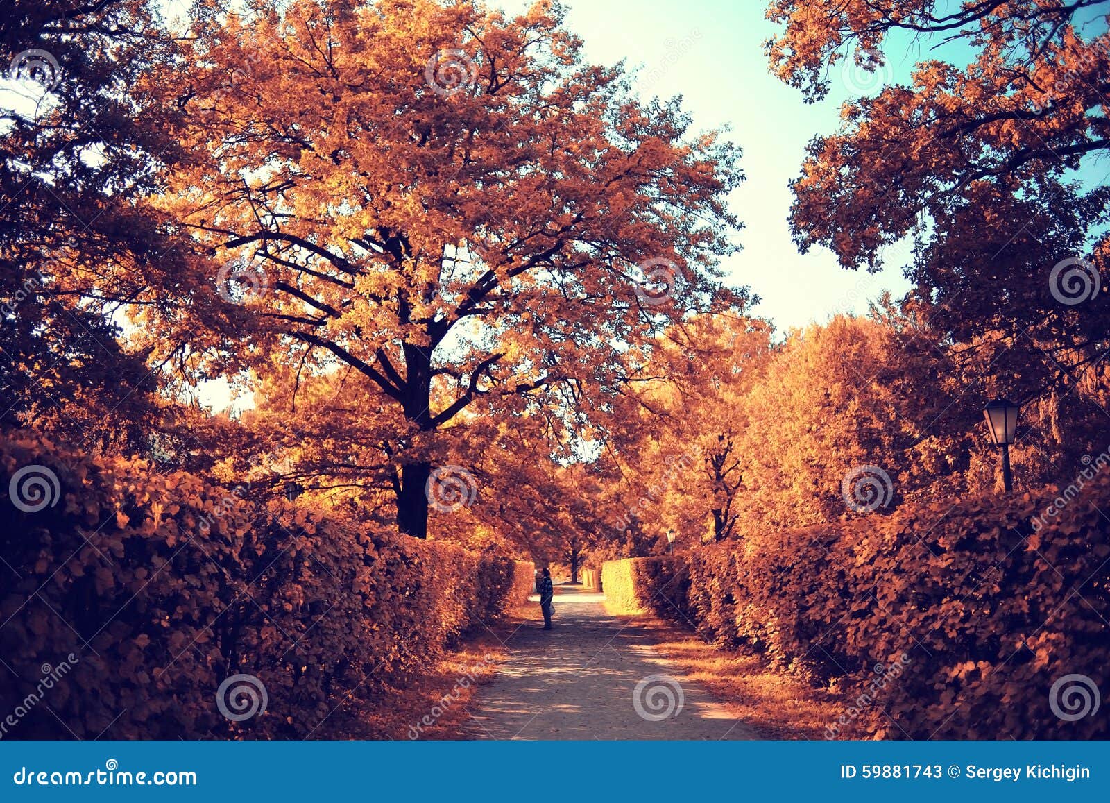 Autumn park landscape stock image. Image of lawn, bright - 59881743