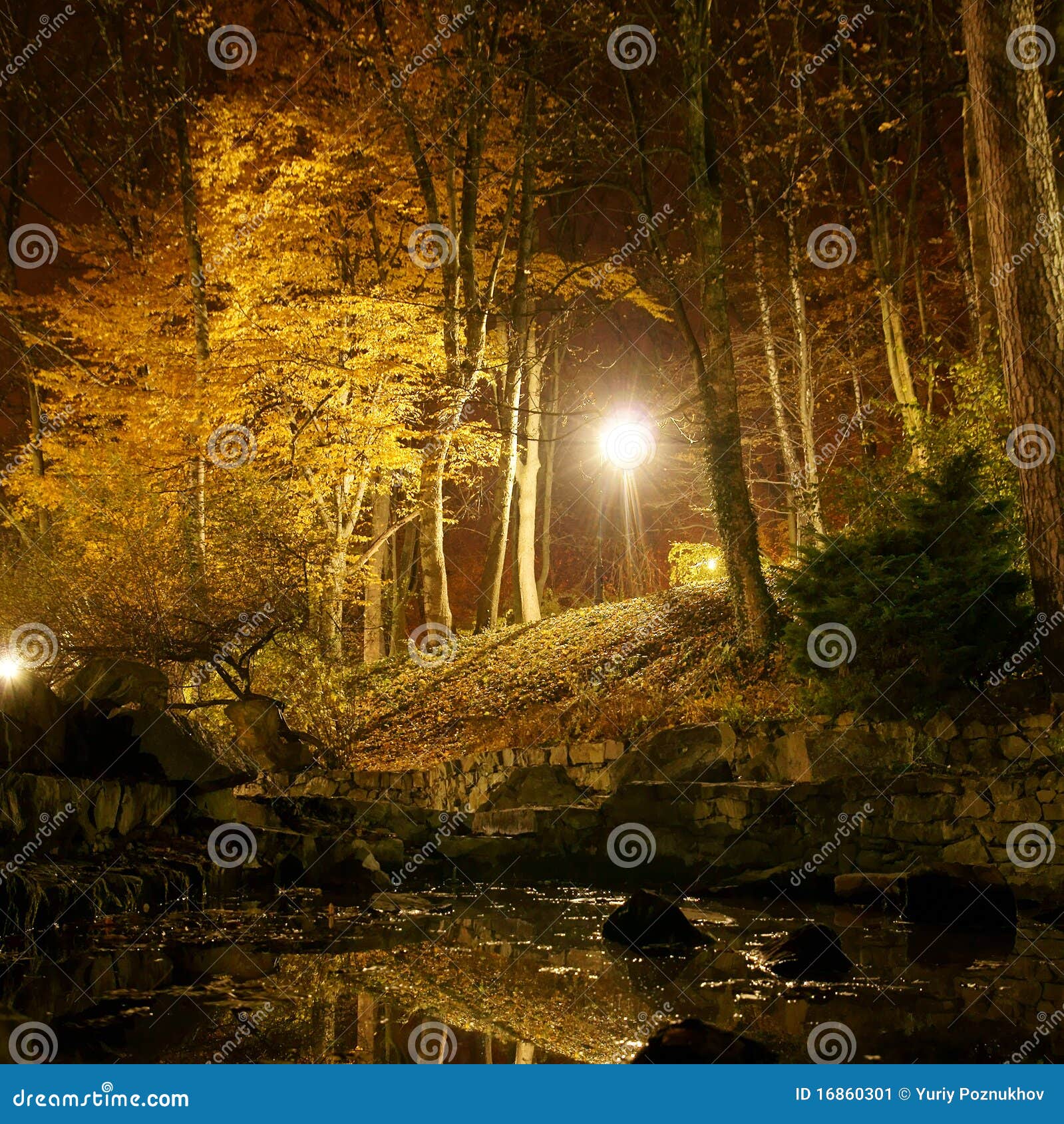 Autumn park at night stock image. Image of park, path - 16860301