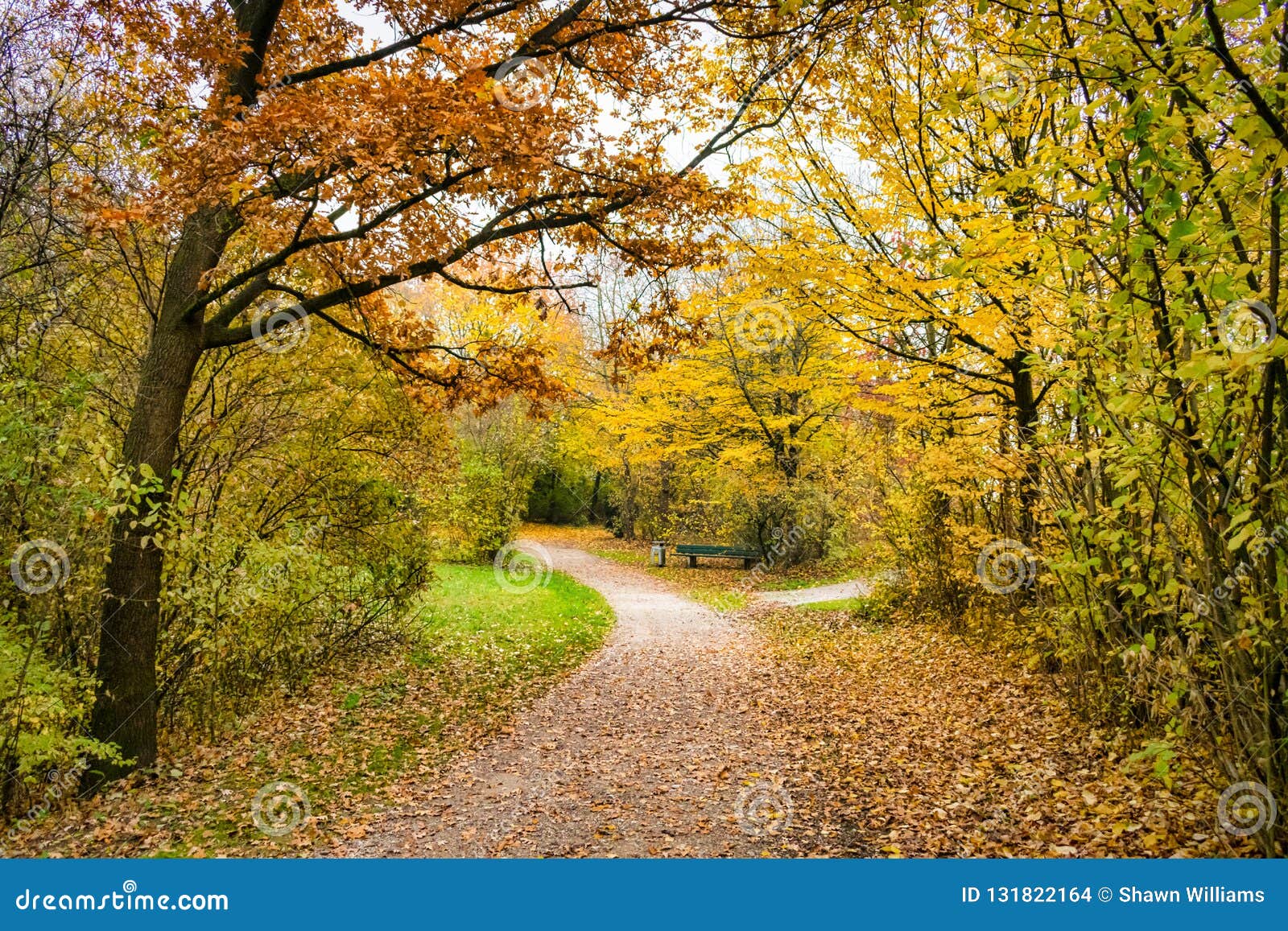 Autumn Park Path stock photo. Image of environment, footpath - 131822164