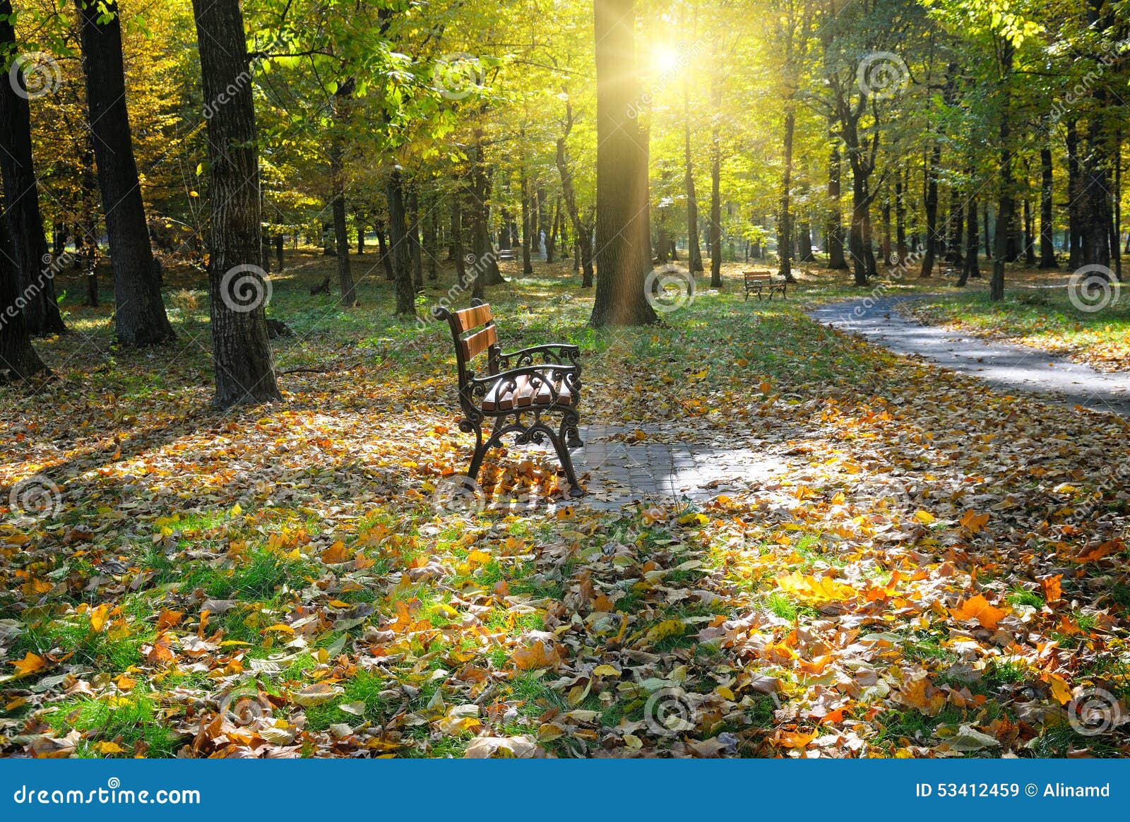 Autumn Park with Paths and Benches Stock Image - Image of outdoor ...