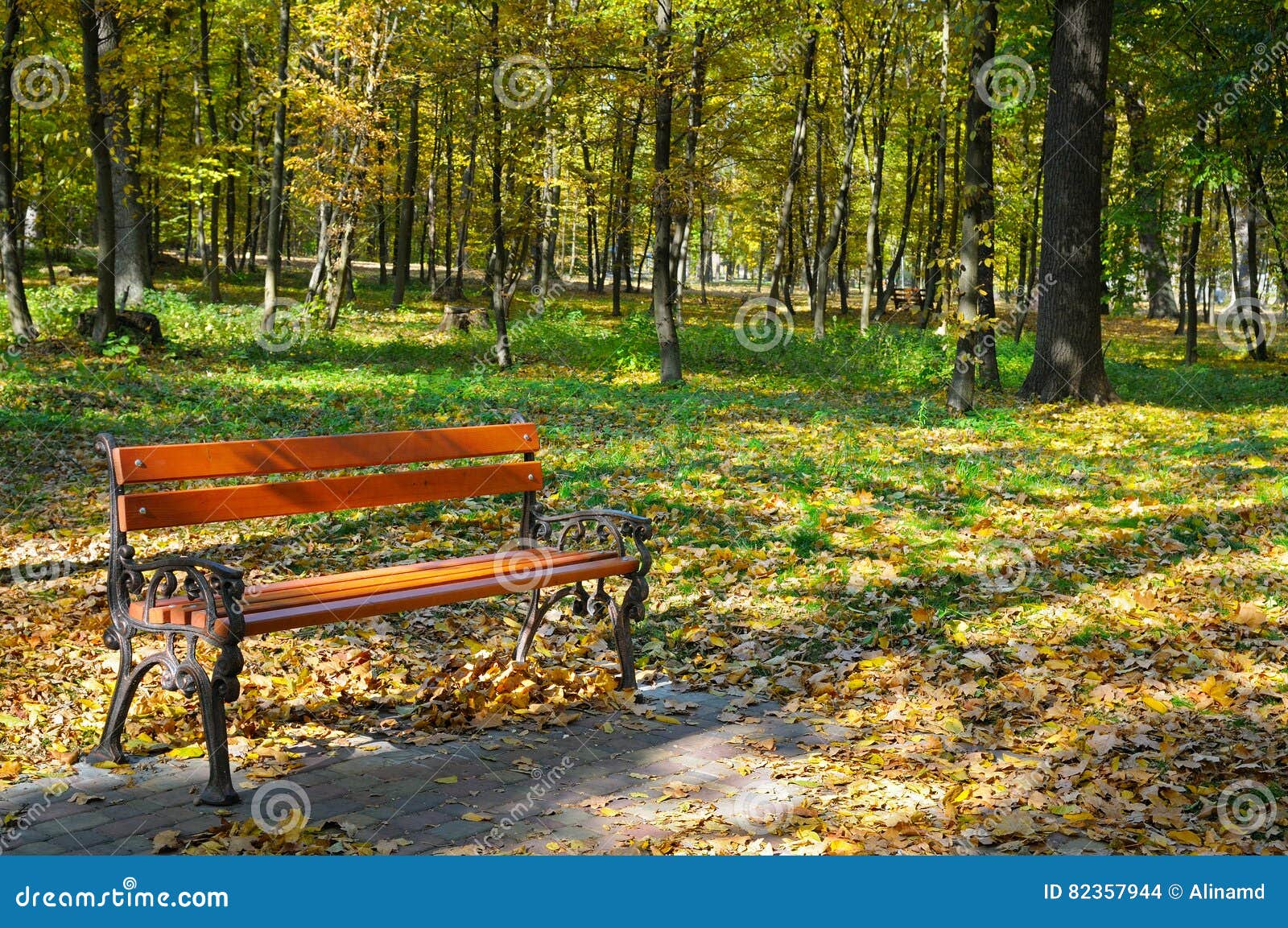Autumn Park with Paths and Benches Stock Photo - Image of leaves ...