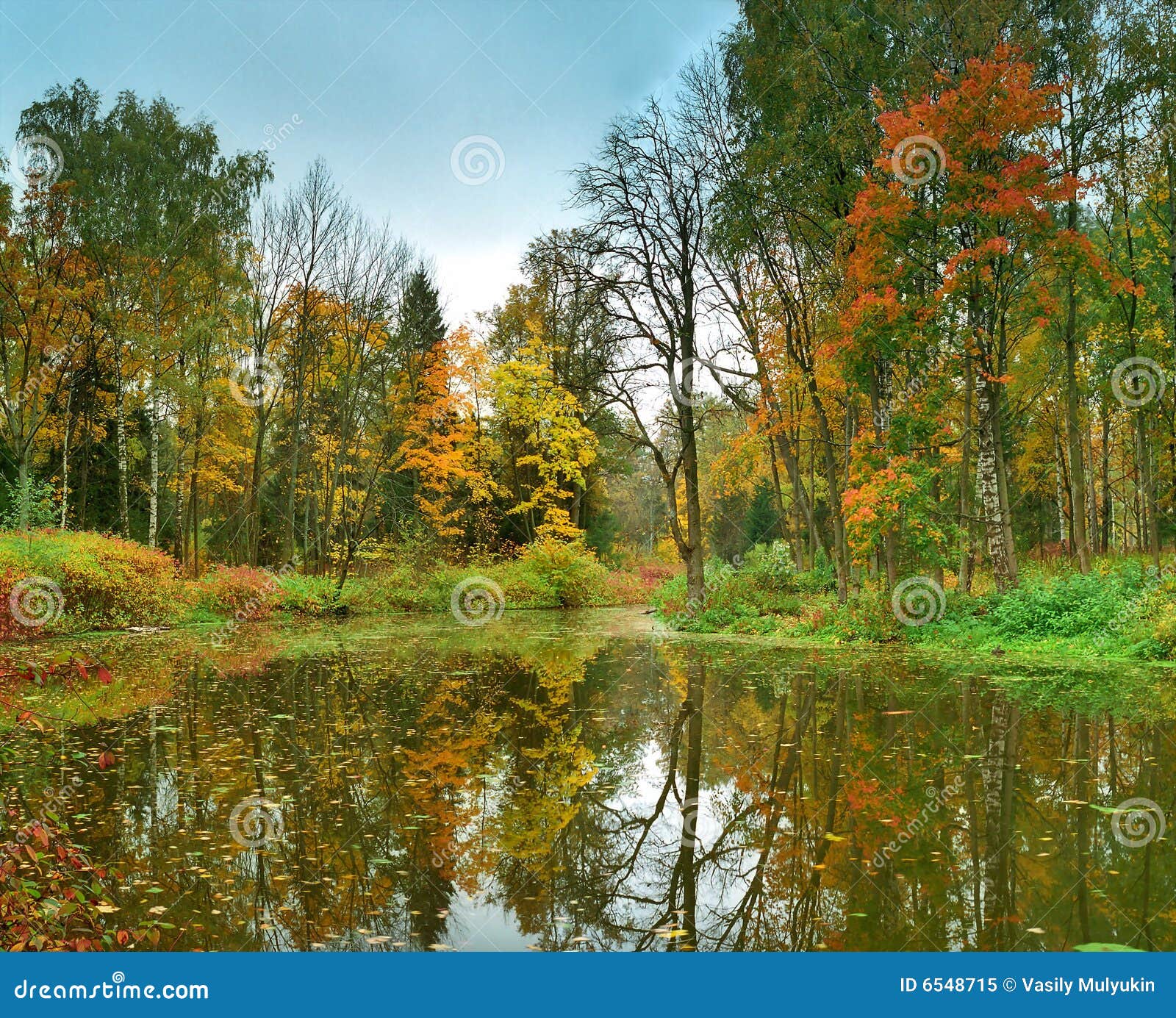 Autumn park with the pond stock image. Image of forest - 6548715