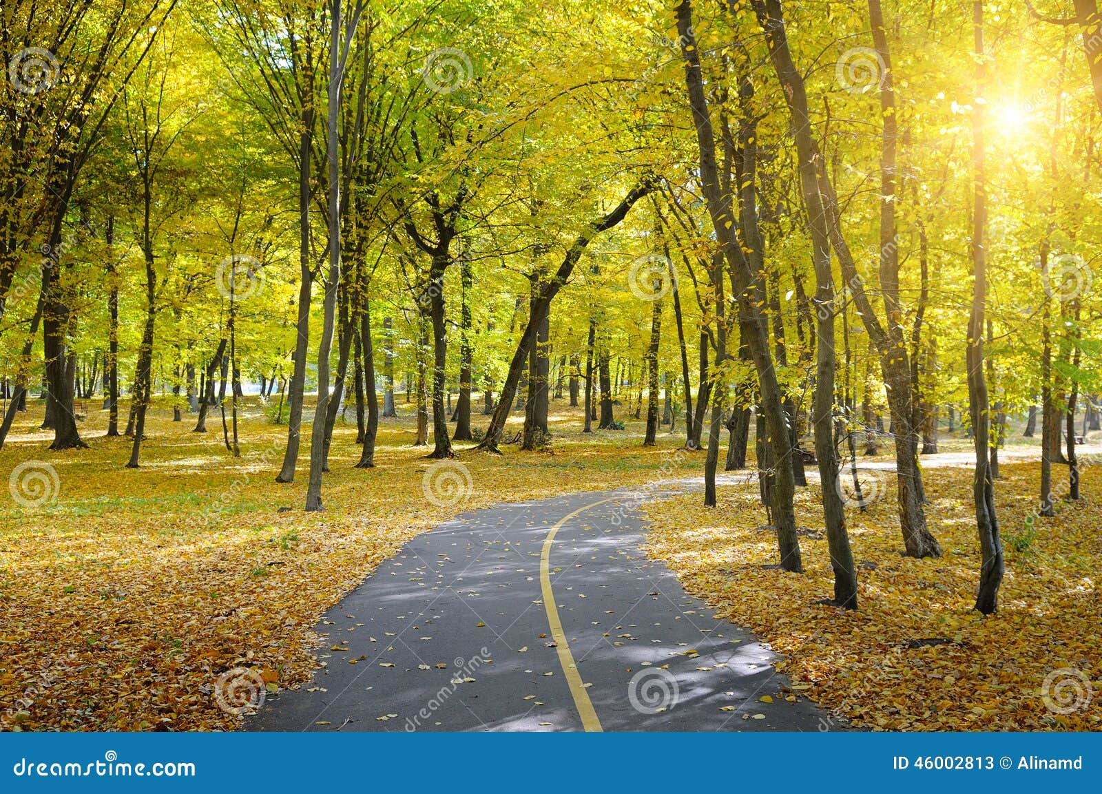 Autumn park stock image. Image of outdoor, foliage, pathway - 46002813