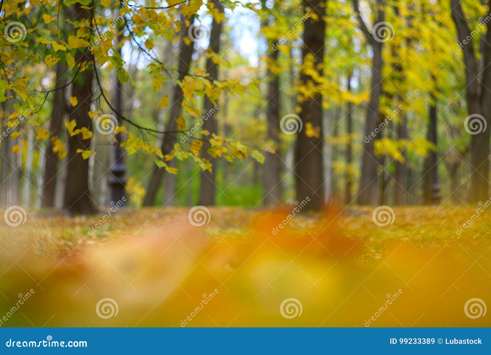 Autumn park scenery stock image. Image of fall, beautiful - 99233389