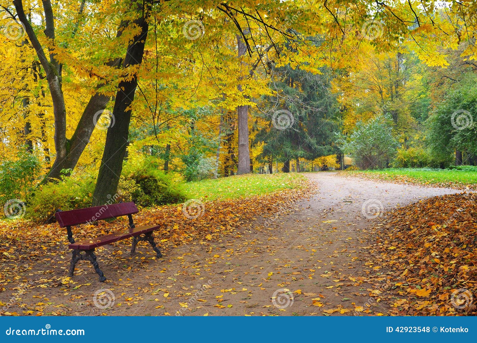 Autumn in the park stock photo. Image of environment - 42923548