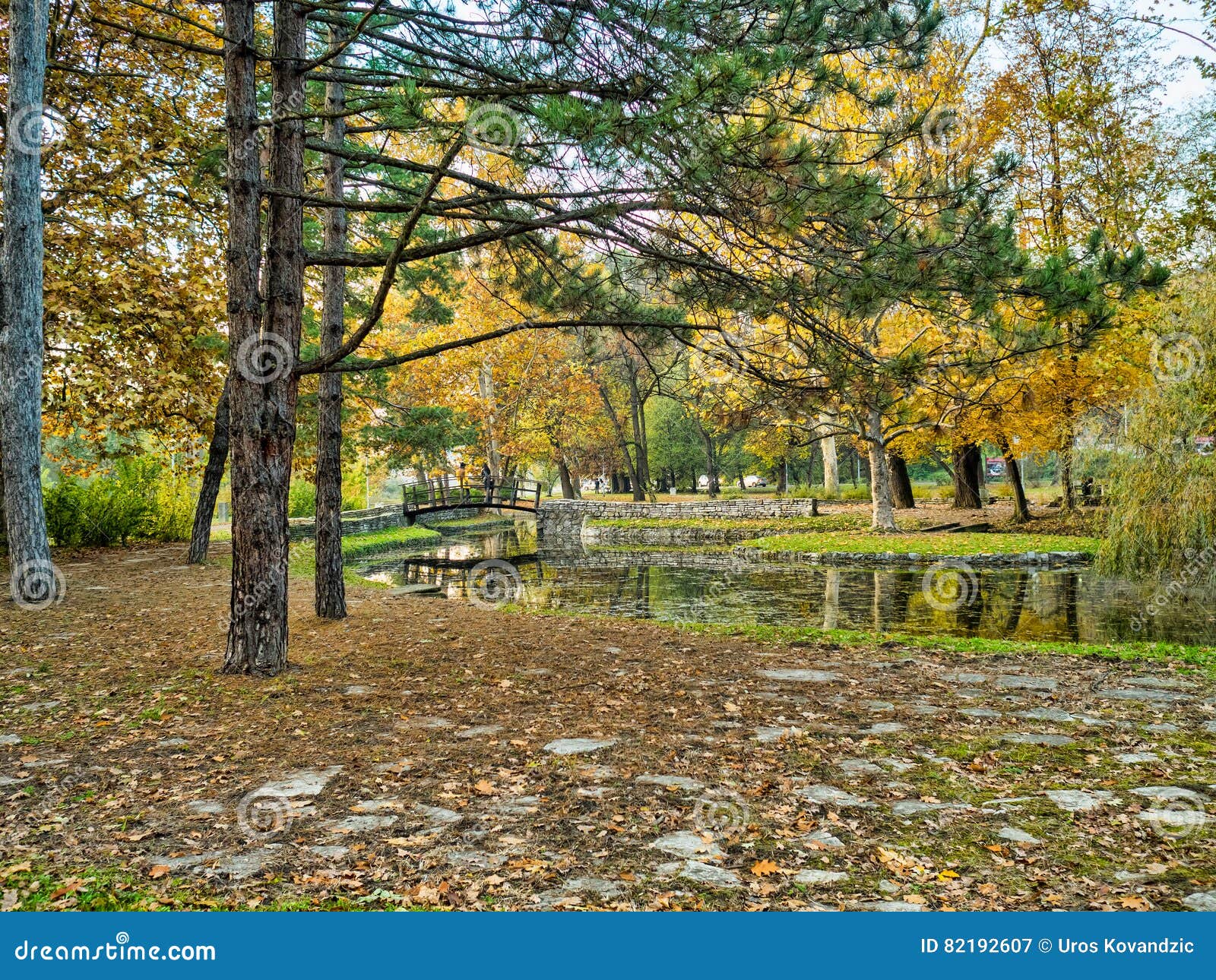 Autumn park scenes stock image. Image of lake, autumn - 82192607