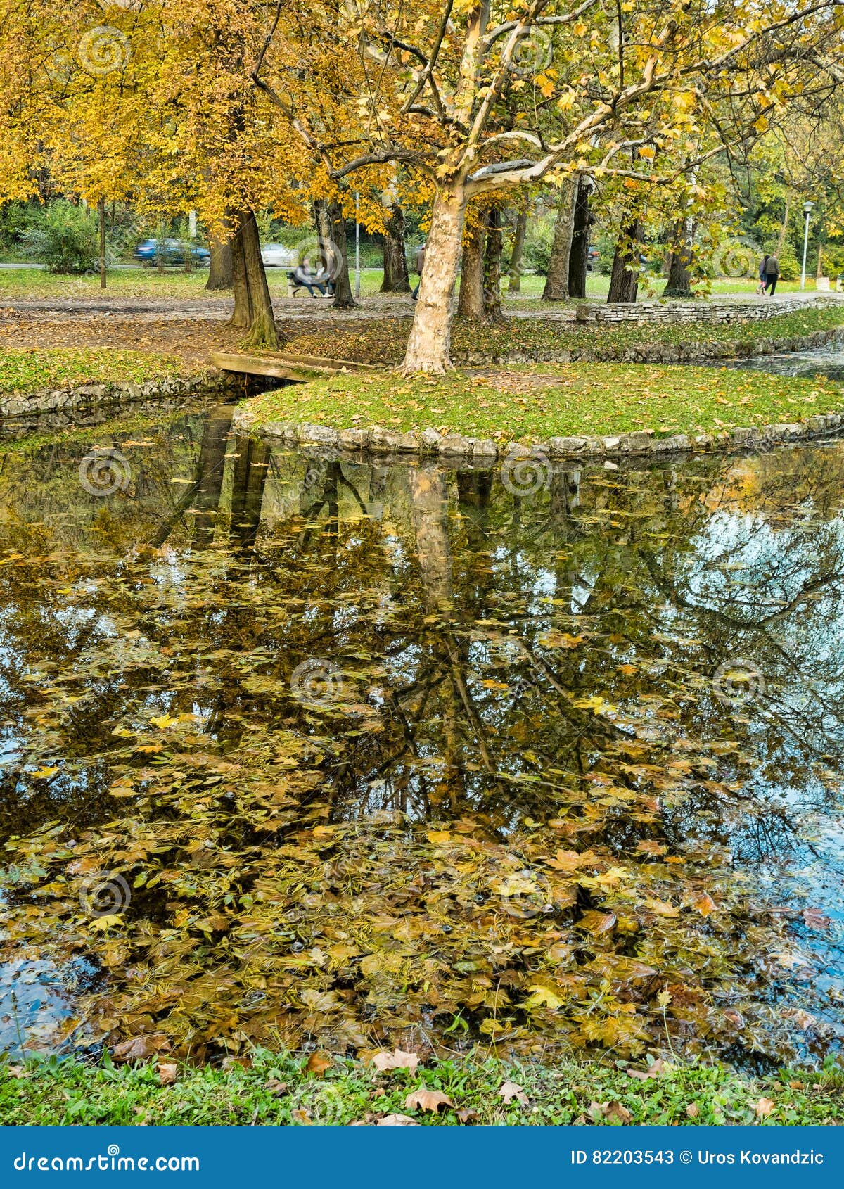 Autumn park scenes stock image. Image of bridge, trees - 82203543