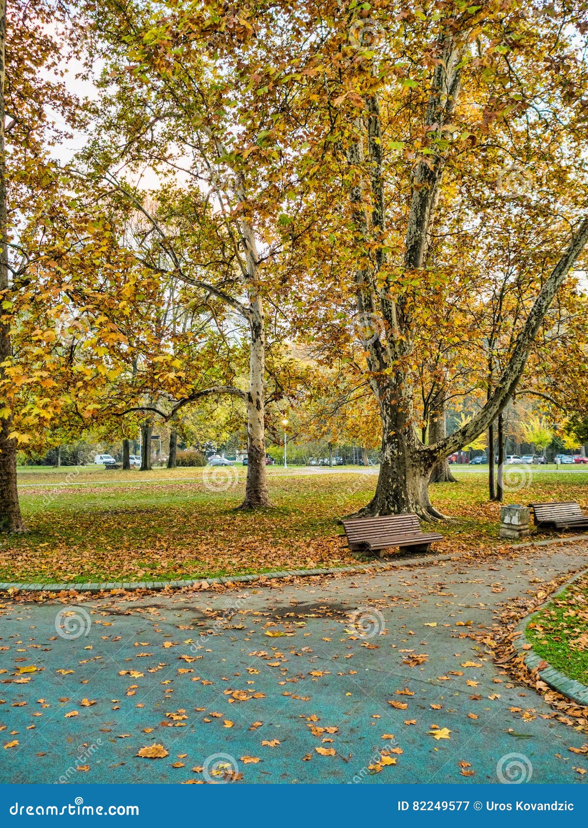 Autumn park scenes stock image. Image of overpass, leaves - 82249577