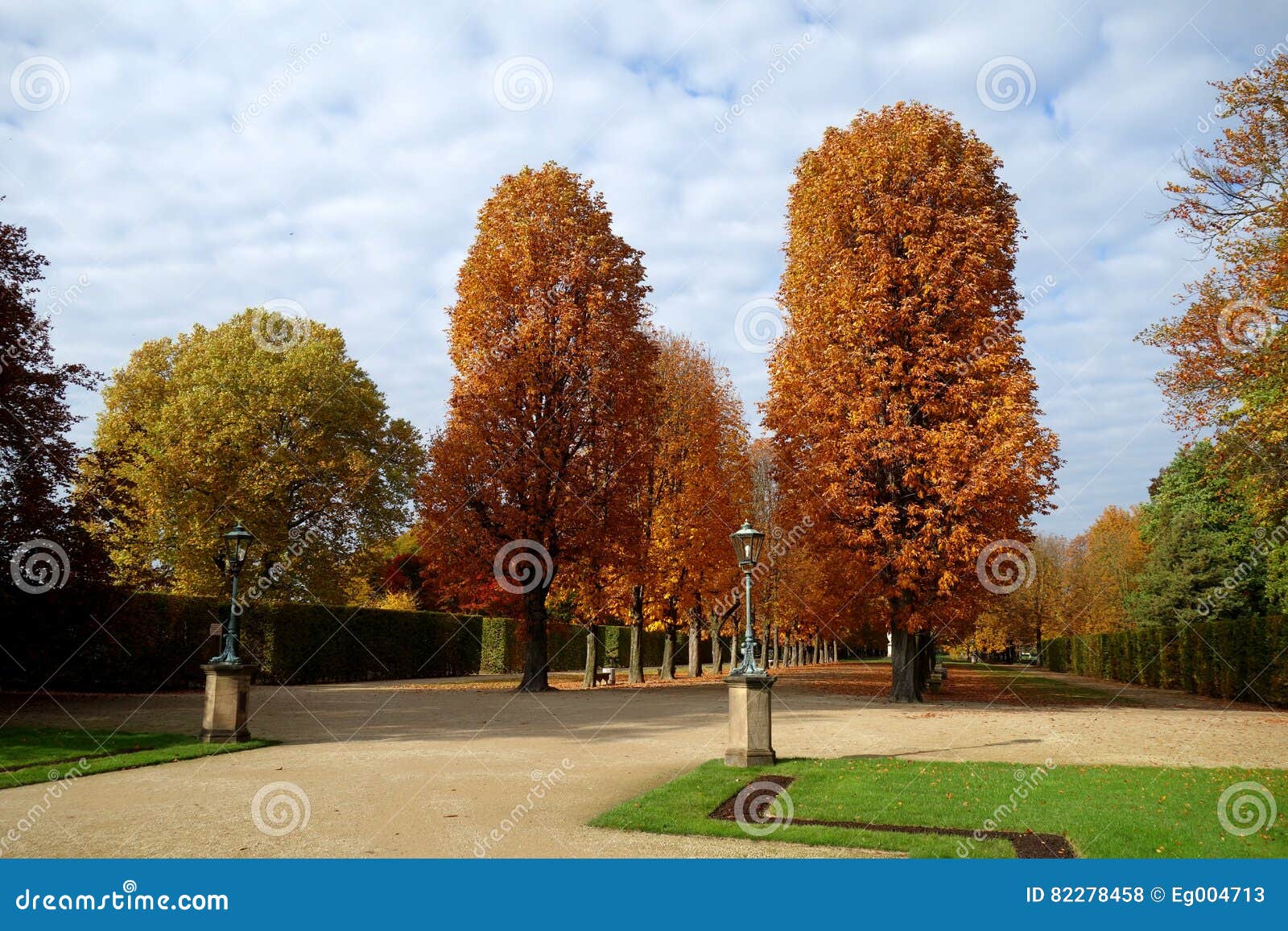 Autumn Park in the Sunlight Stock Photo - Image of romantic, fall: 82278458