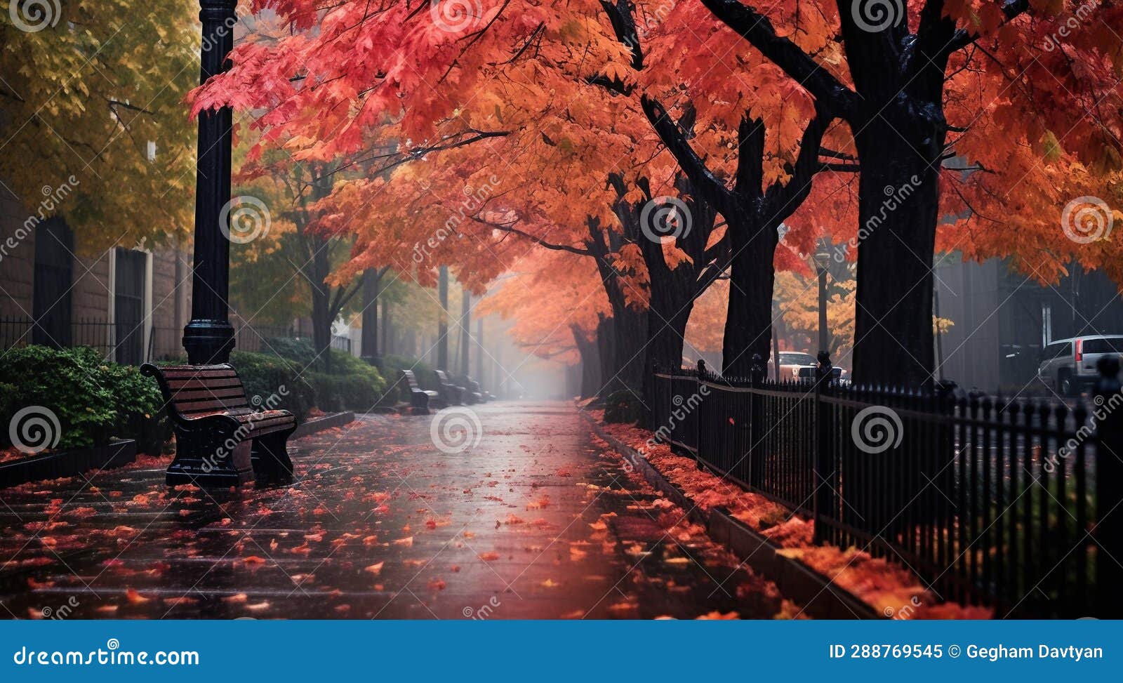 Autumn in the Park, Trees in the Park, Autumn Seasone, Autumn Scene in ...