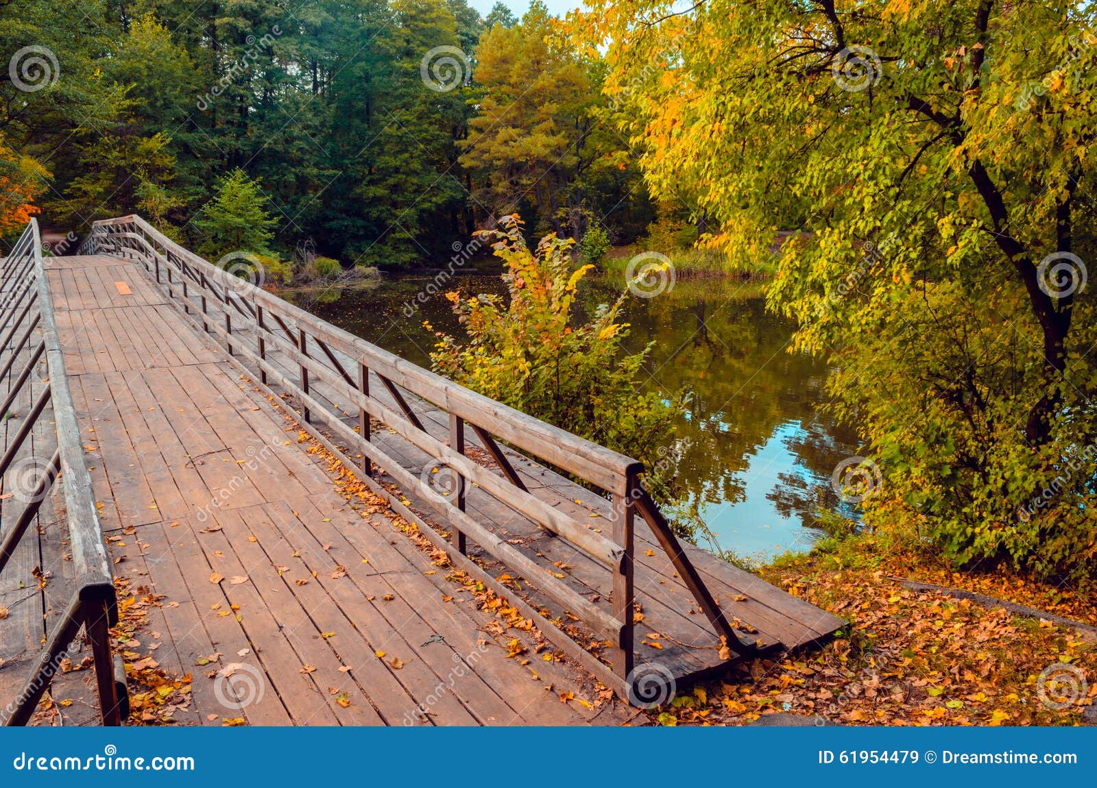 Autumn in the park stock image. Image of yellow, leaves - 61954479