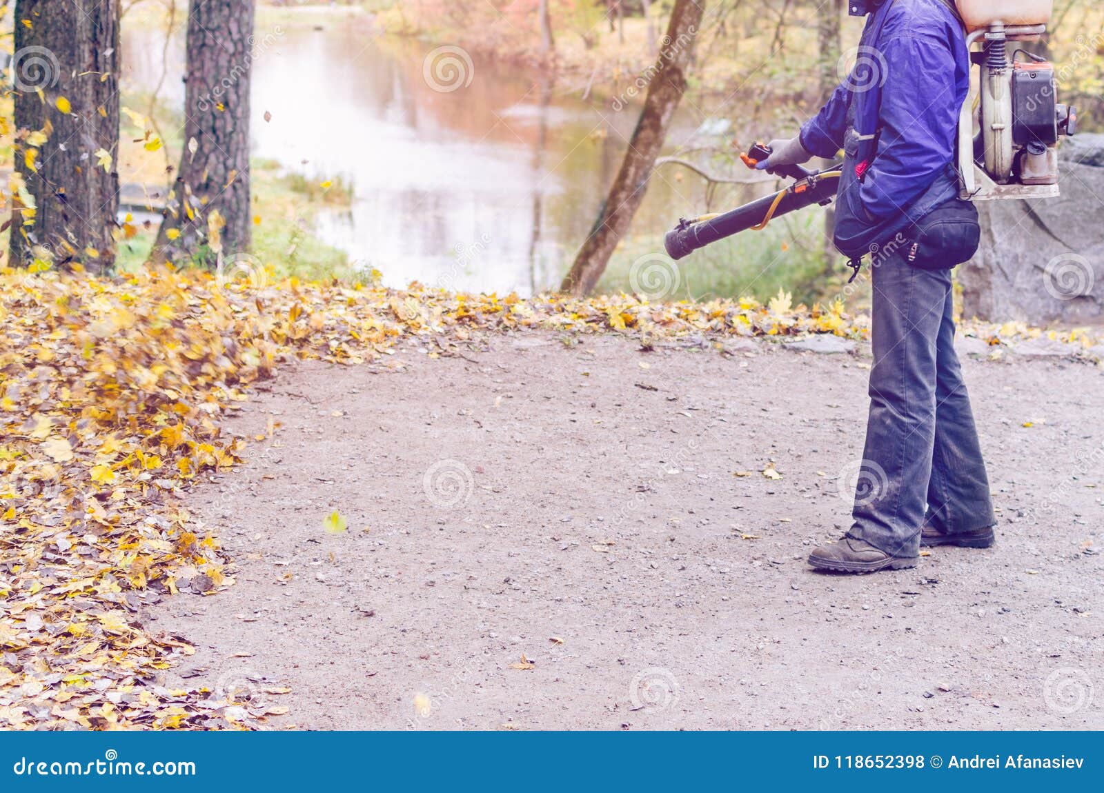 In the Autumn Park Worker Removes the Road from the Fallen Leaves with ...