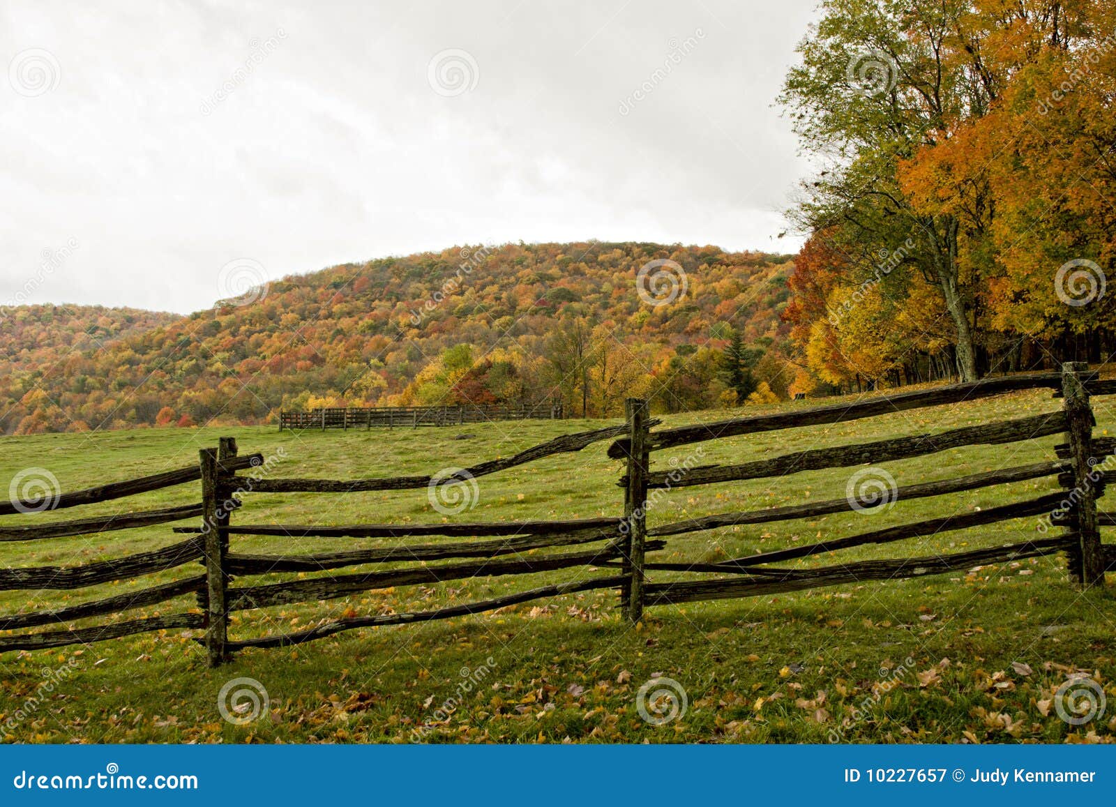 Autumn Pasture and Fence stock image. Image of nature - 10227657