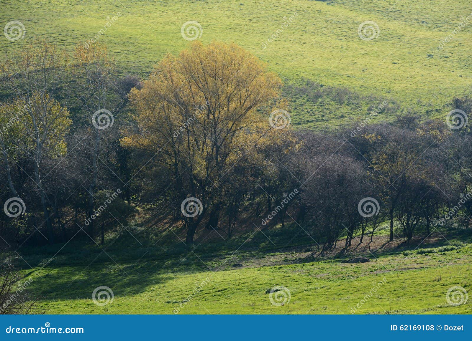 Autumn pasture and forests stock photo. Image of colored - 62169108
