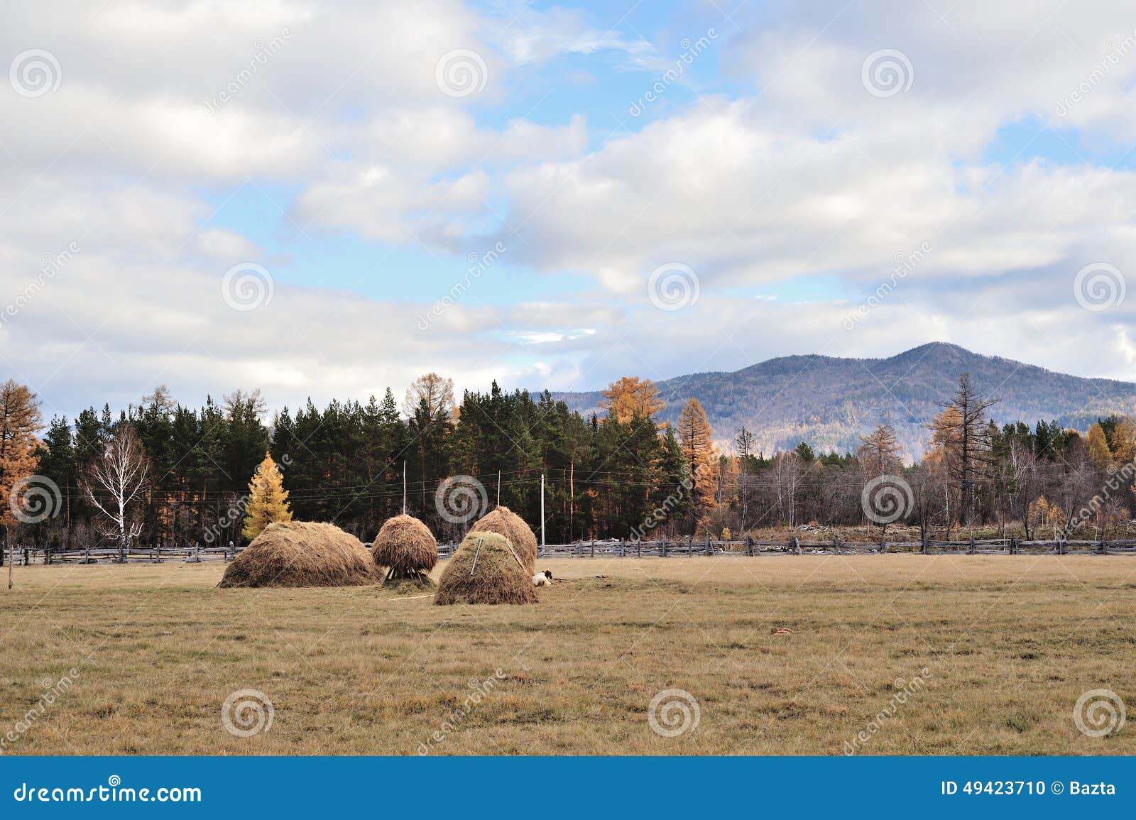 Pasture in autumn stock photo. Image of agriculture, clouds - 49423710