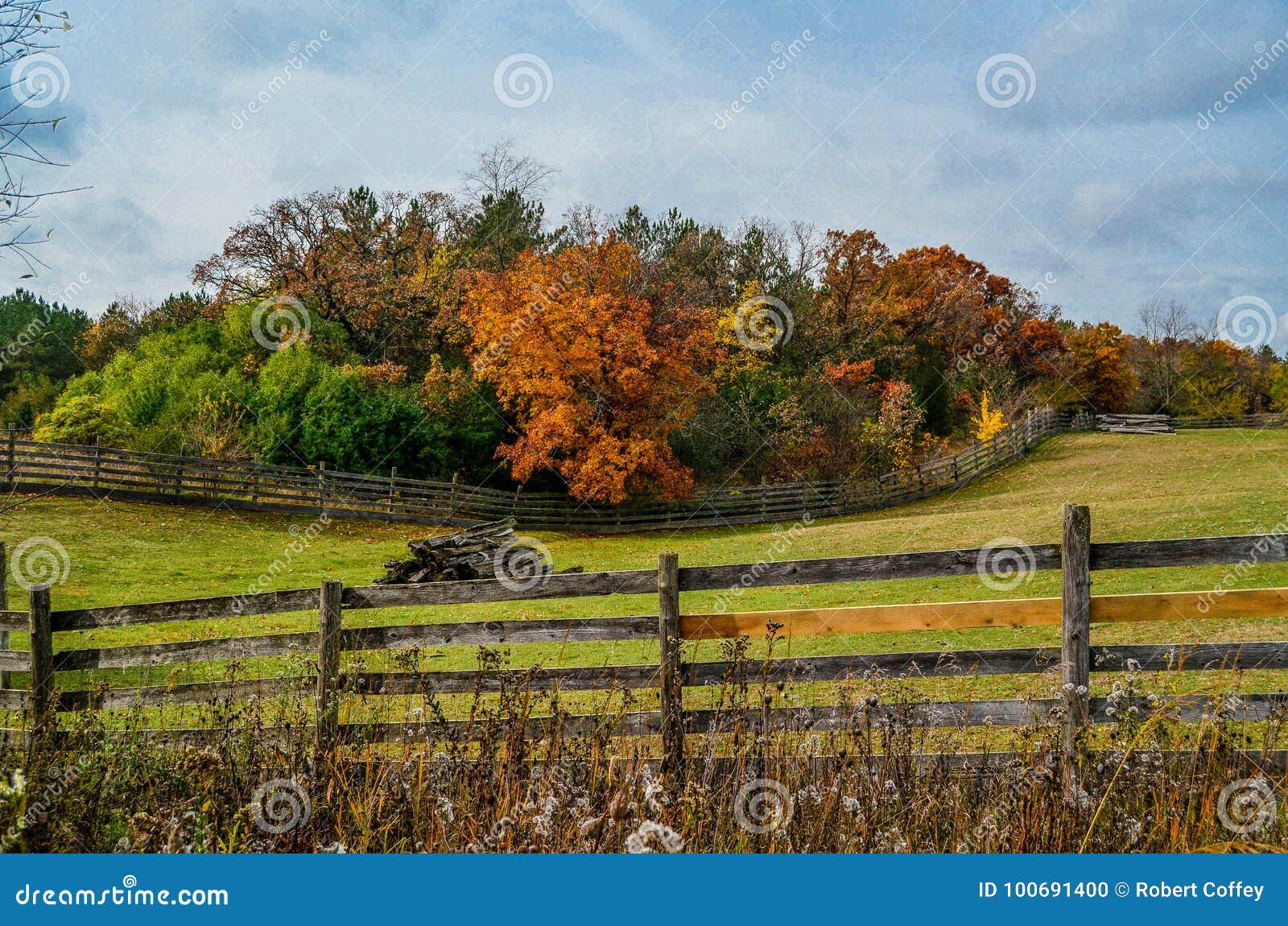 Autumn Pasture stock photo. Image of field, brush, fence - 100691400