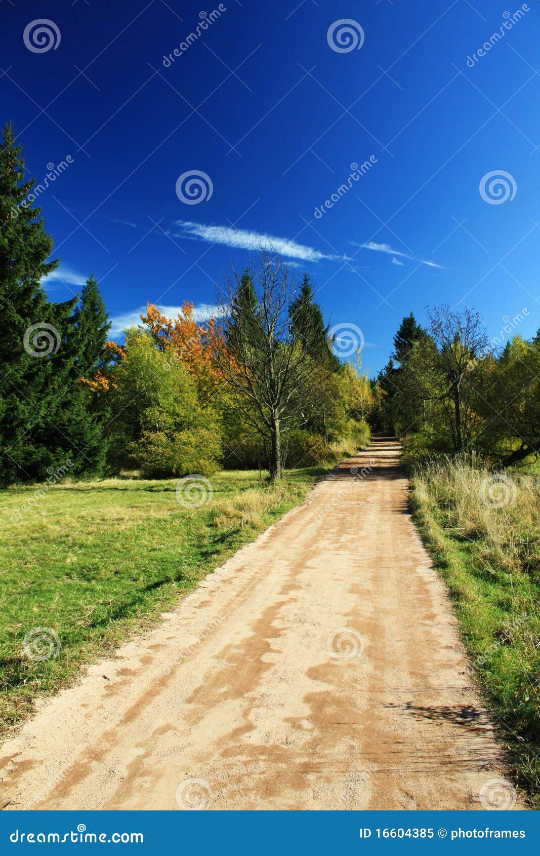 Autumn path stock image. Image of colors, scenery, relax - 16604385
