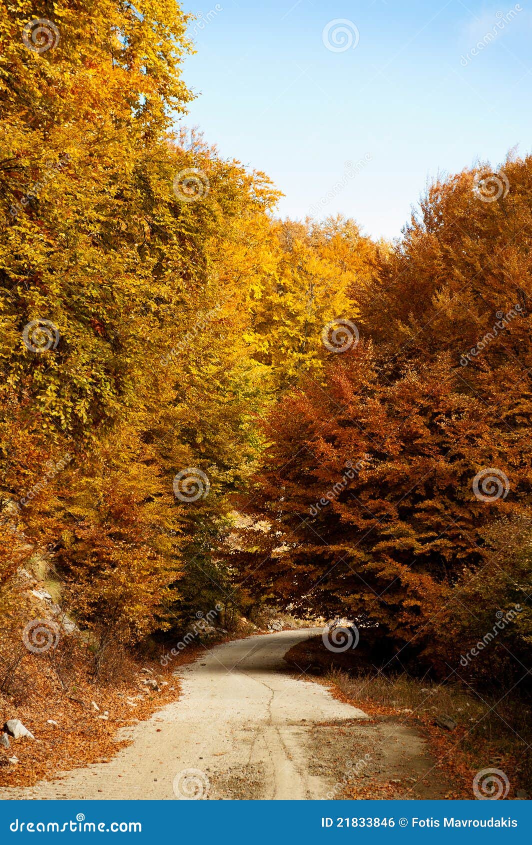 Autumn path stock photo. Image of foliage, horizontal - 21833846