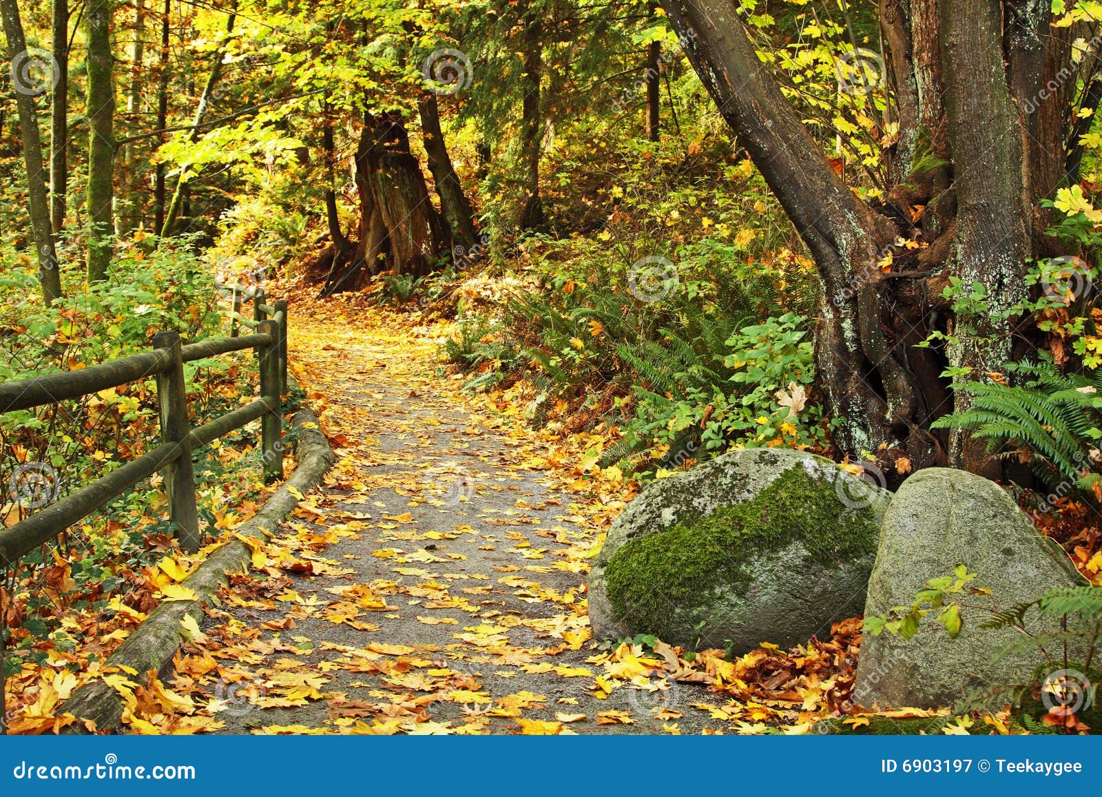 Autumn path stock image. Image of serence, scenic, scenery - 6903197