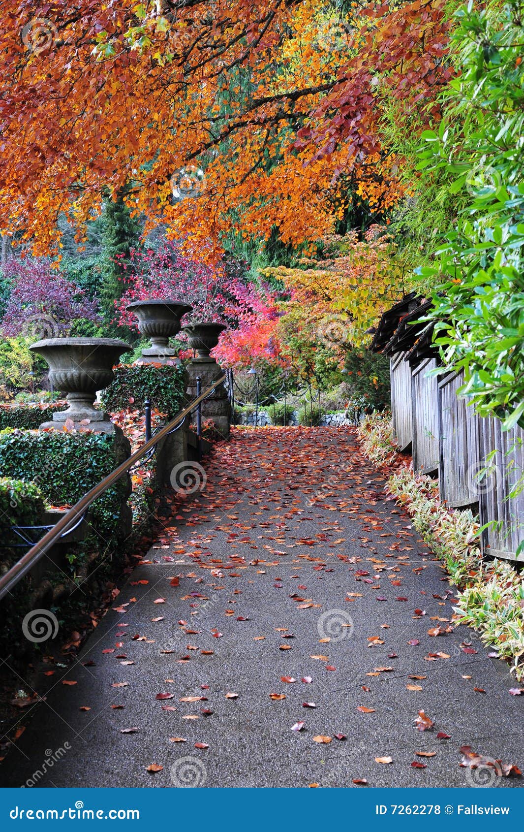 Autumn Path in Butchart Gardens Stock Photo - Image of colors, golden ...