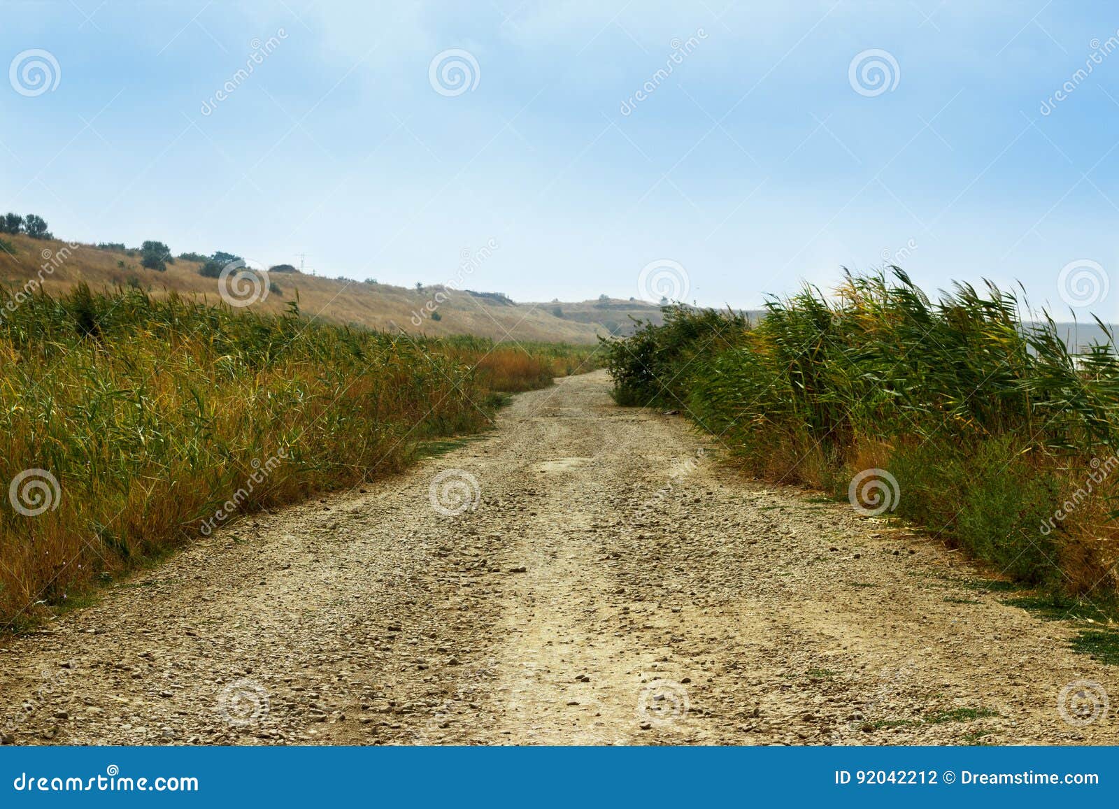 Autumn Path in a Field with Hills Stock Photo - Image of field, farming ...