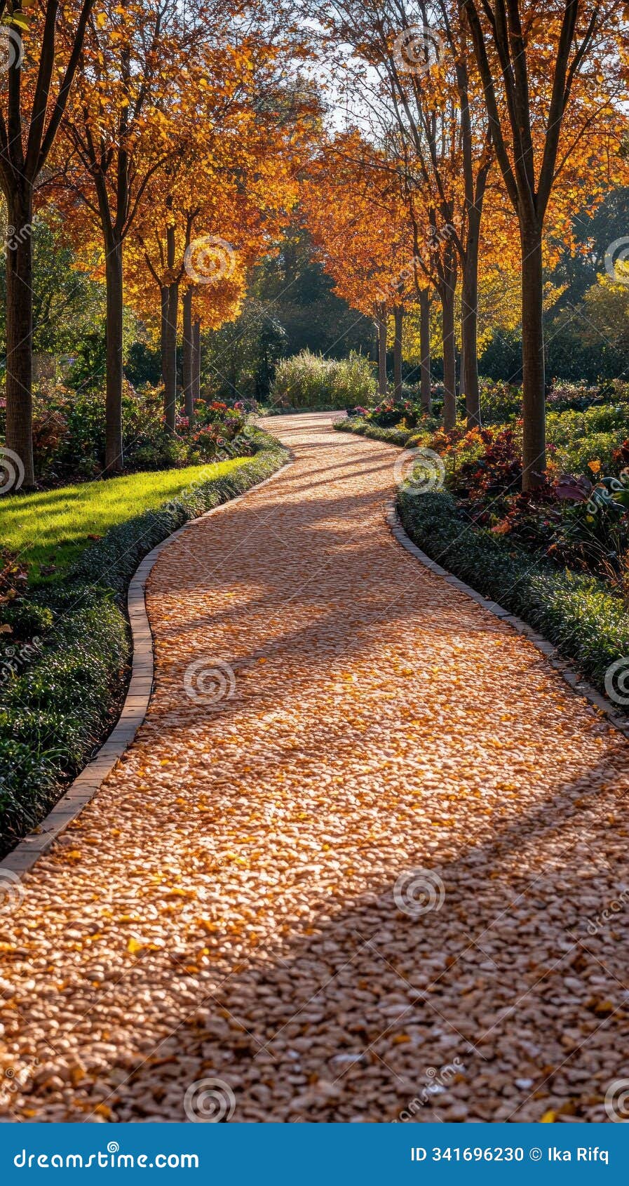 Autumn Path in a Park - Photo Stock Illustration - Illustration of ...