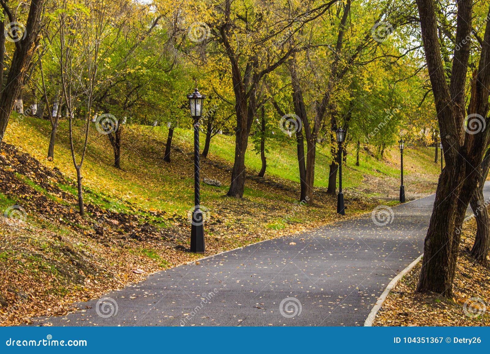 Autumn Path in the Park. Yellow Leaves on the Trees. Stock Image ...